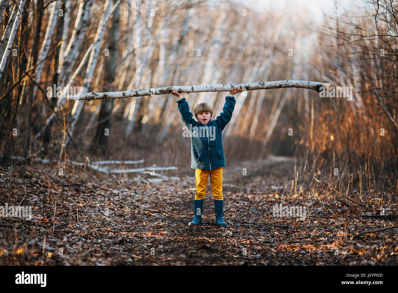 Children carrying wood in forest hi-res stock photography and images ...
