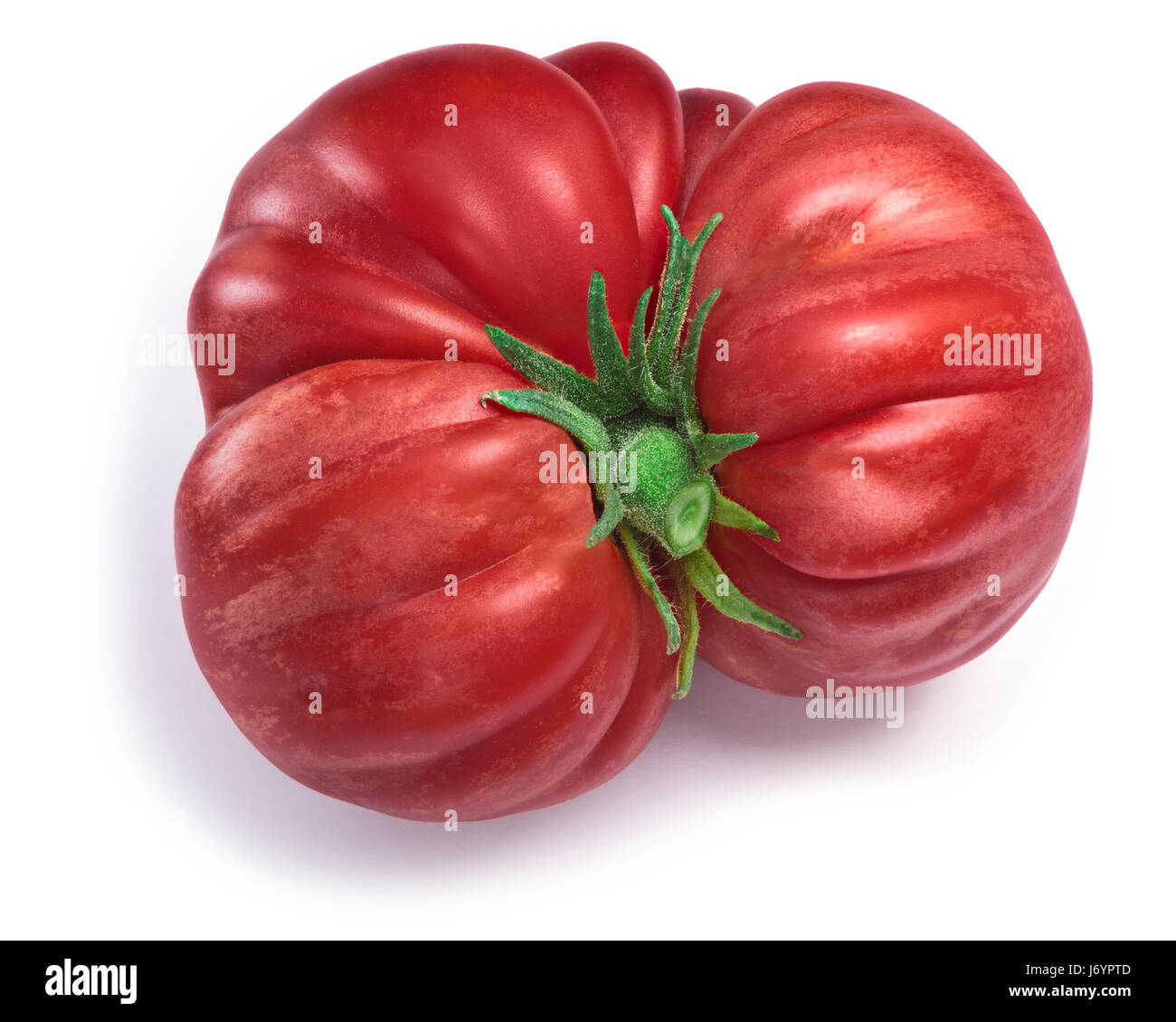 Pink ribbed heirloom tomato, imperfect, irregular shaped, with sepal ...