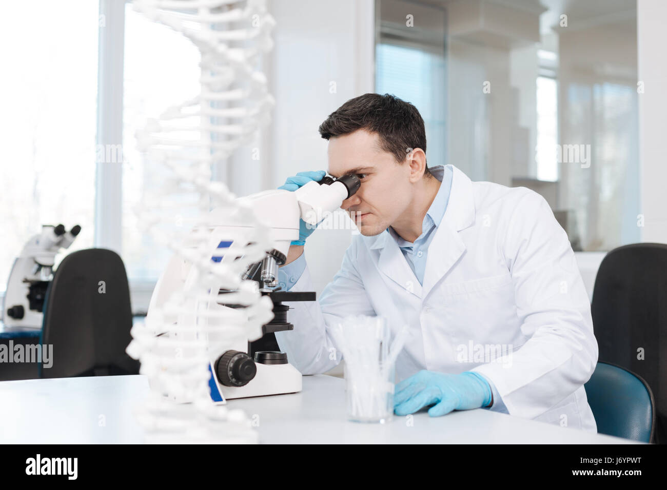 Delighted practitioner working in the laboratory Stock Photo - Alamy