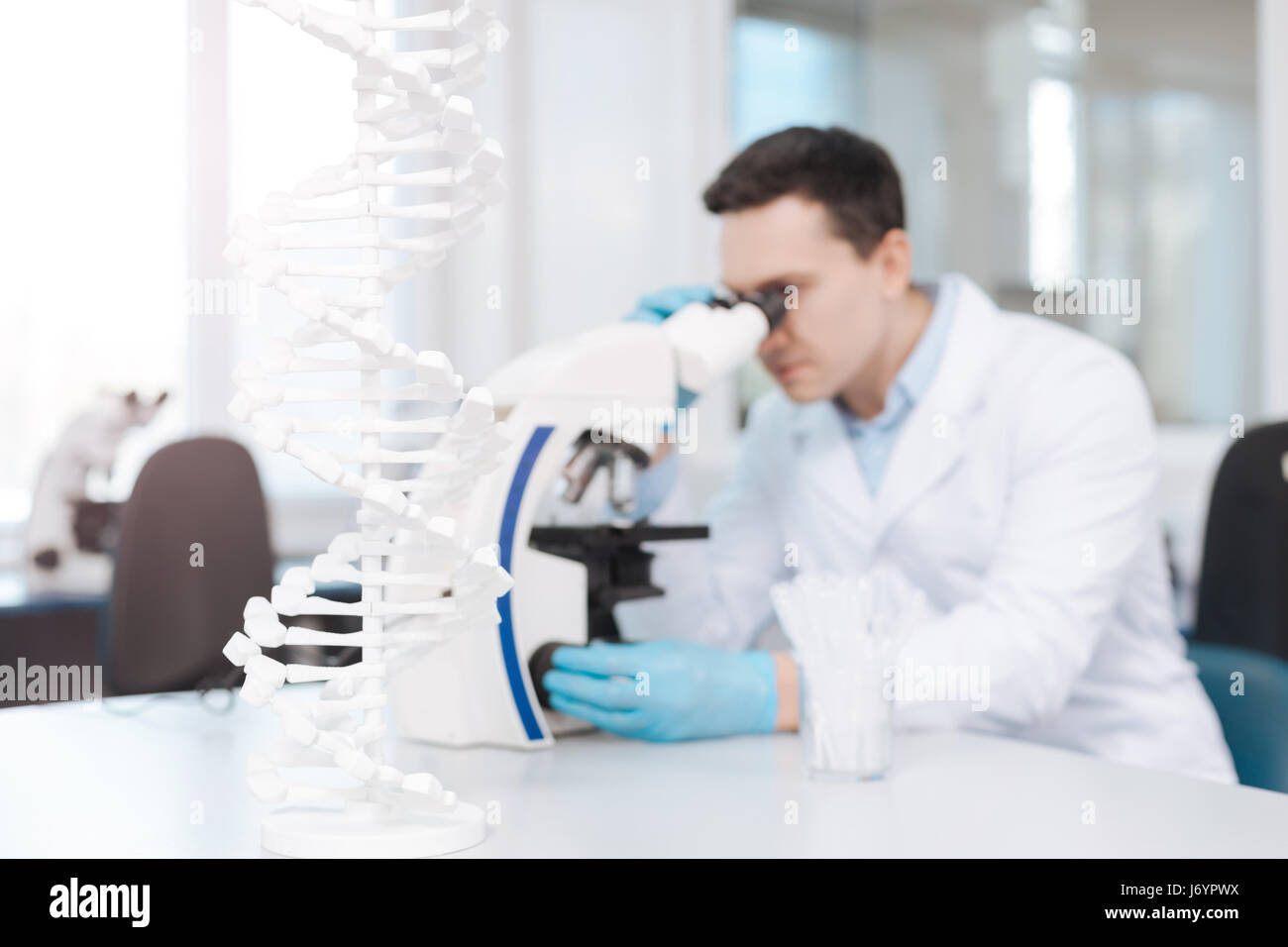 Focused on DNA model photo showing work in the lab Stock Photo - Alamy
