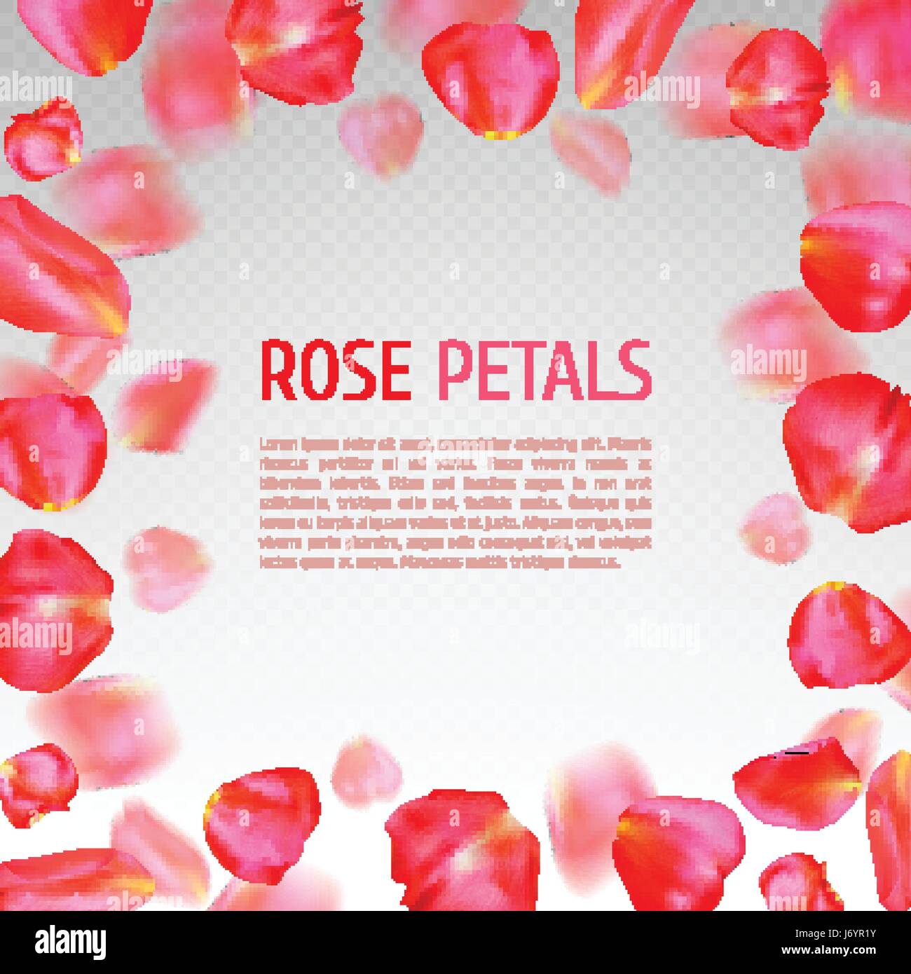 Rose petals border Stock Vector Image & Art - Alamy