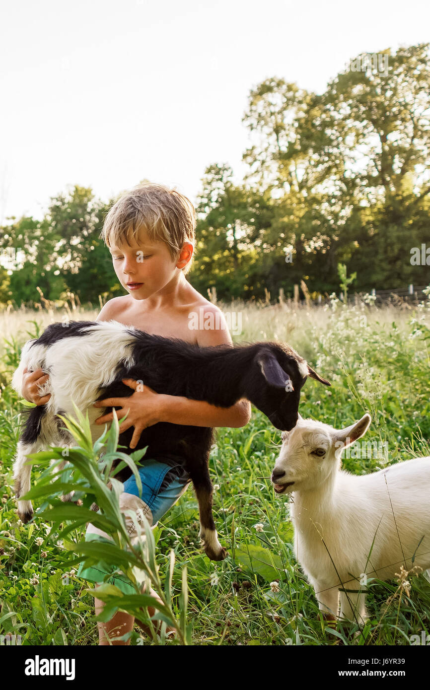 Boy carrying a goat Stock Photo - Alamy