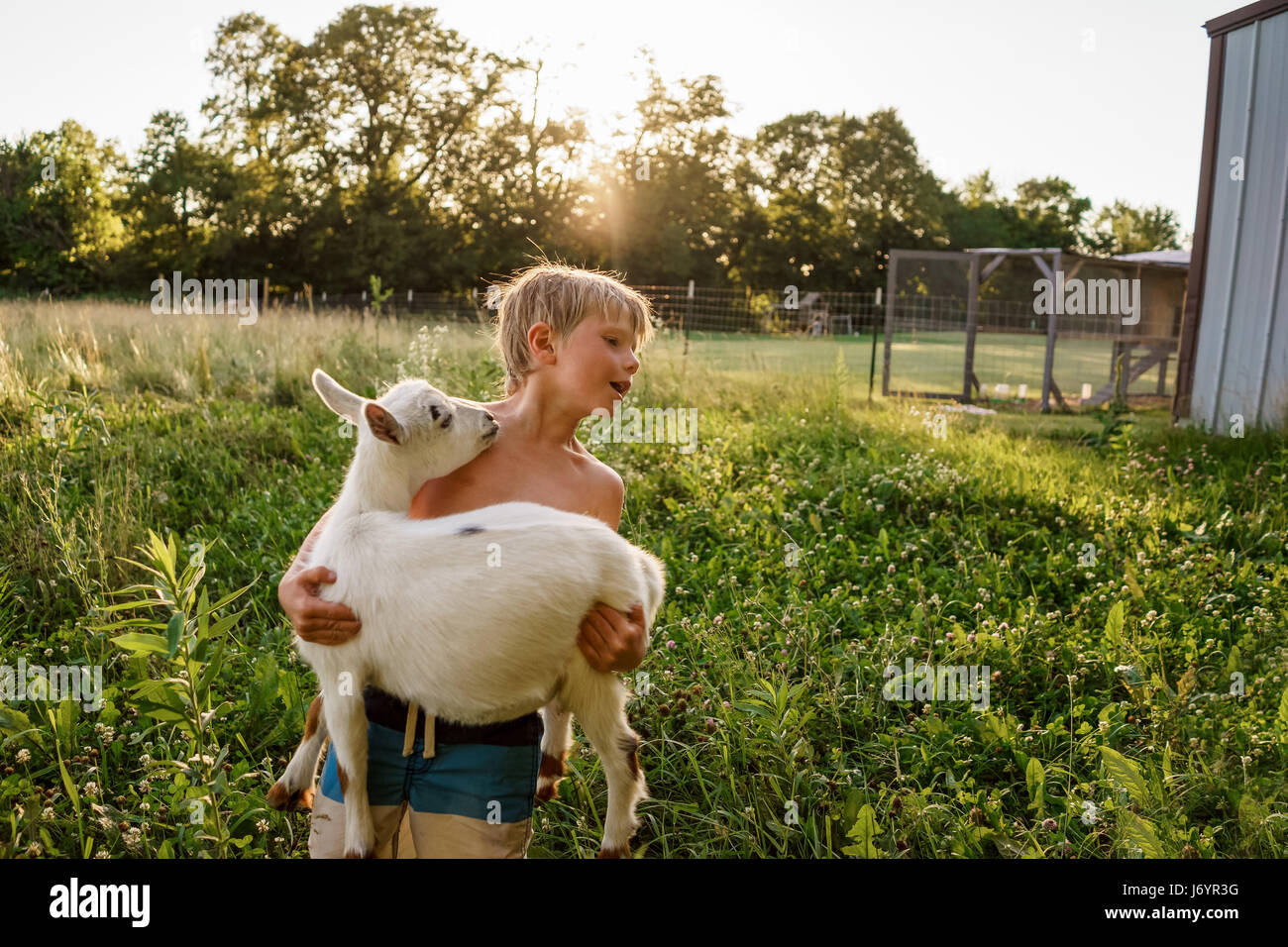 Boy carrying a goat Stock Photo - Alamy