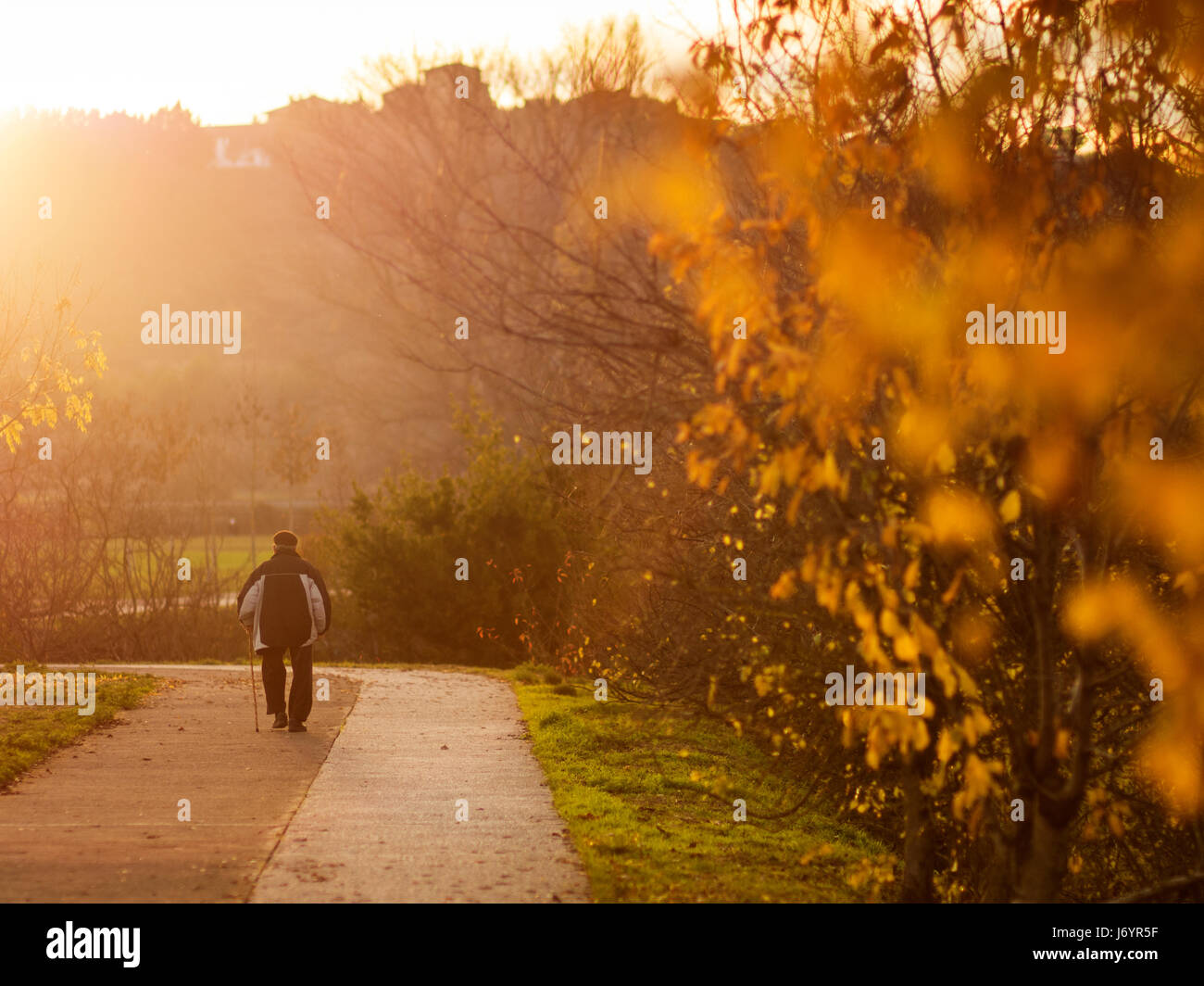 Senior man walking down road at sunset Stock Photo - Alamy