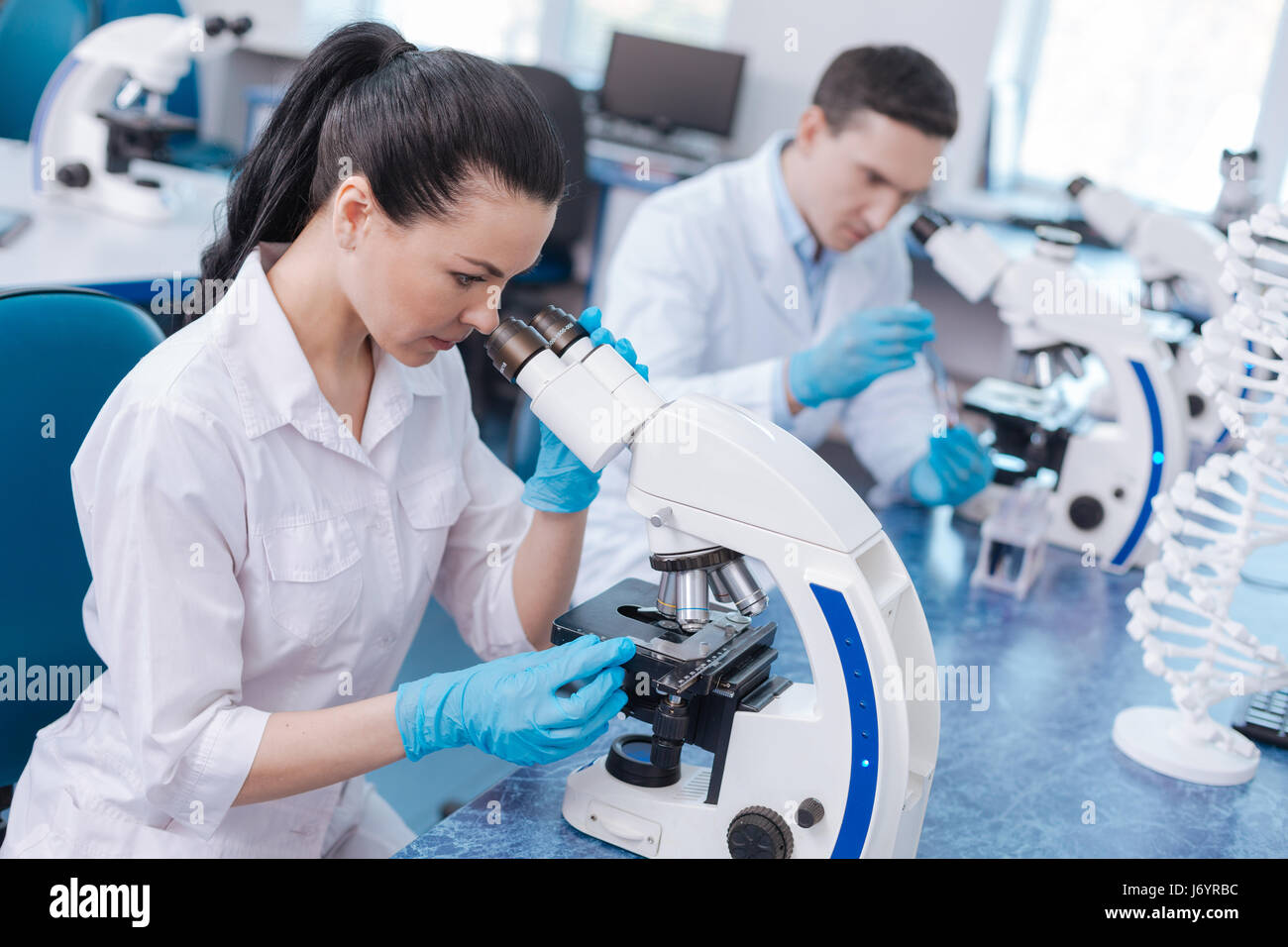 Very attentive scientist looking into microscope Stock Photo - Alamy