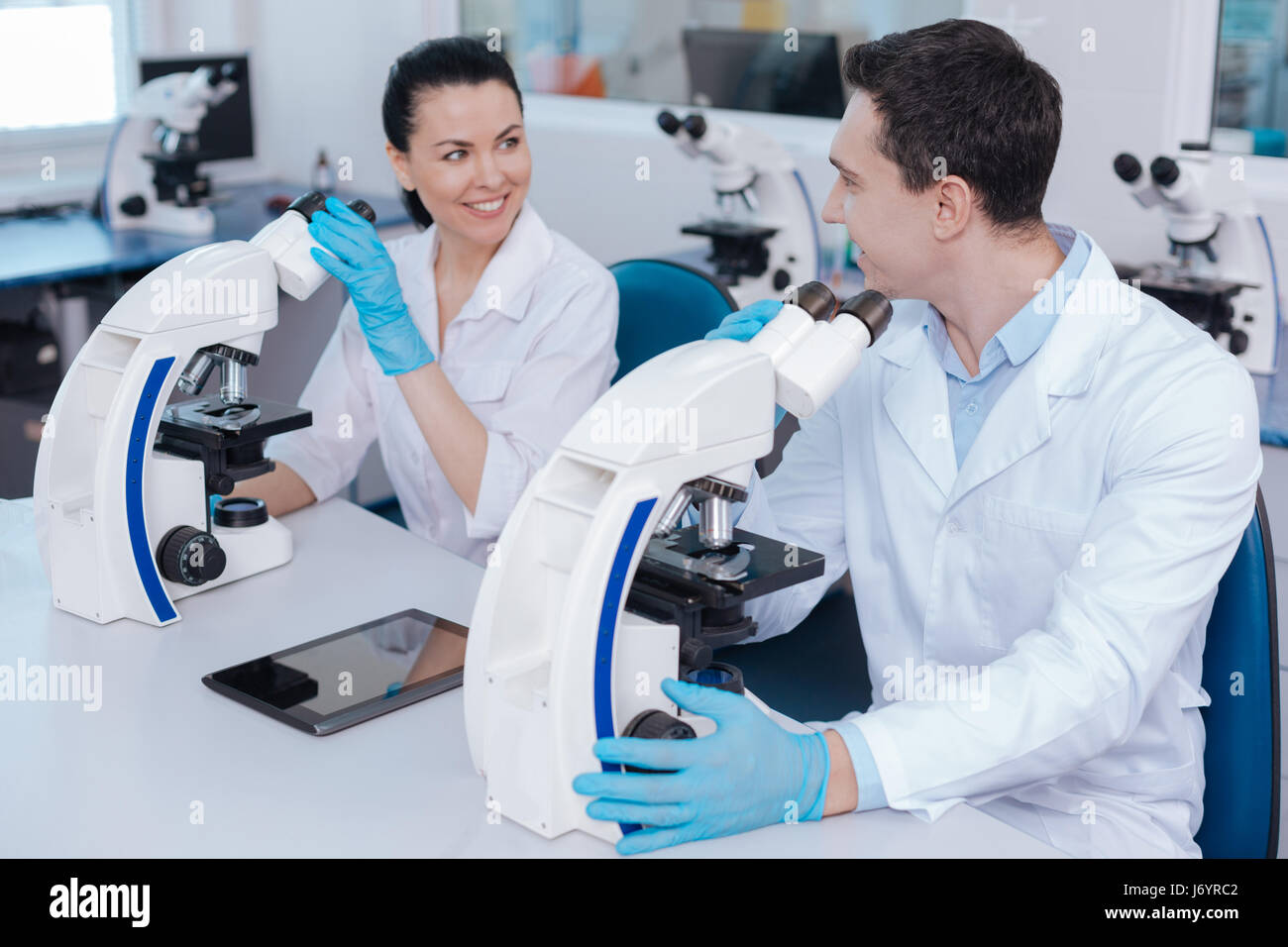 Pretty smiling researcher sitting opposite her colleague Stock Photo ...