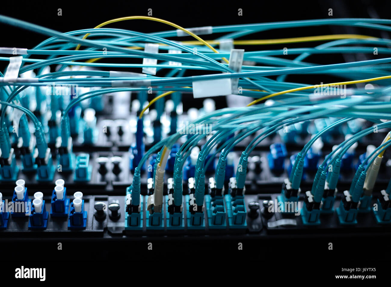 Internet cables being connected to the switch panel Stock Photo - Alamy