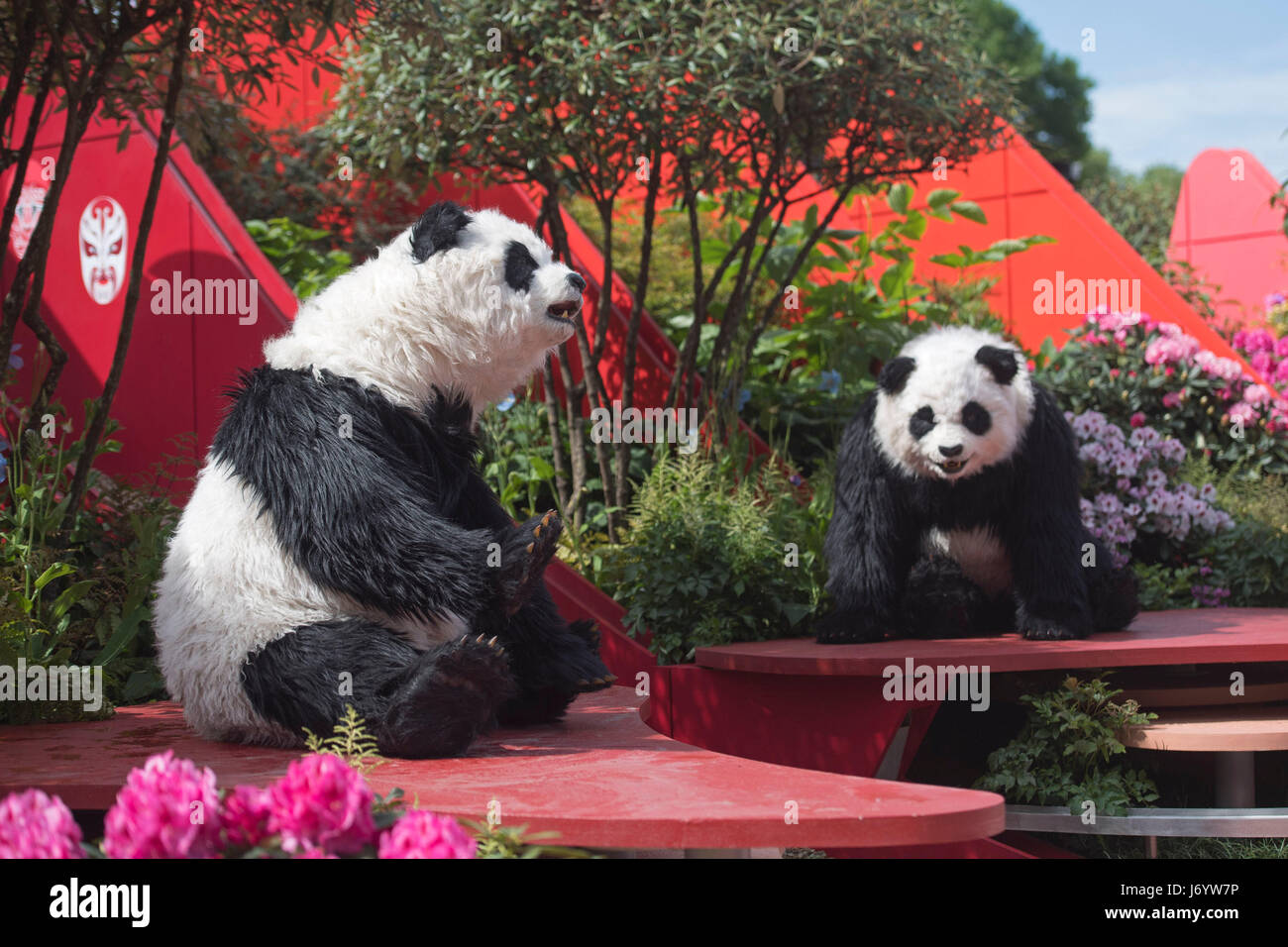 Animatronic giant pandas in the Silk Road Garden during the press ...