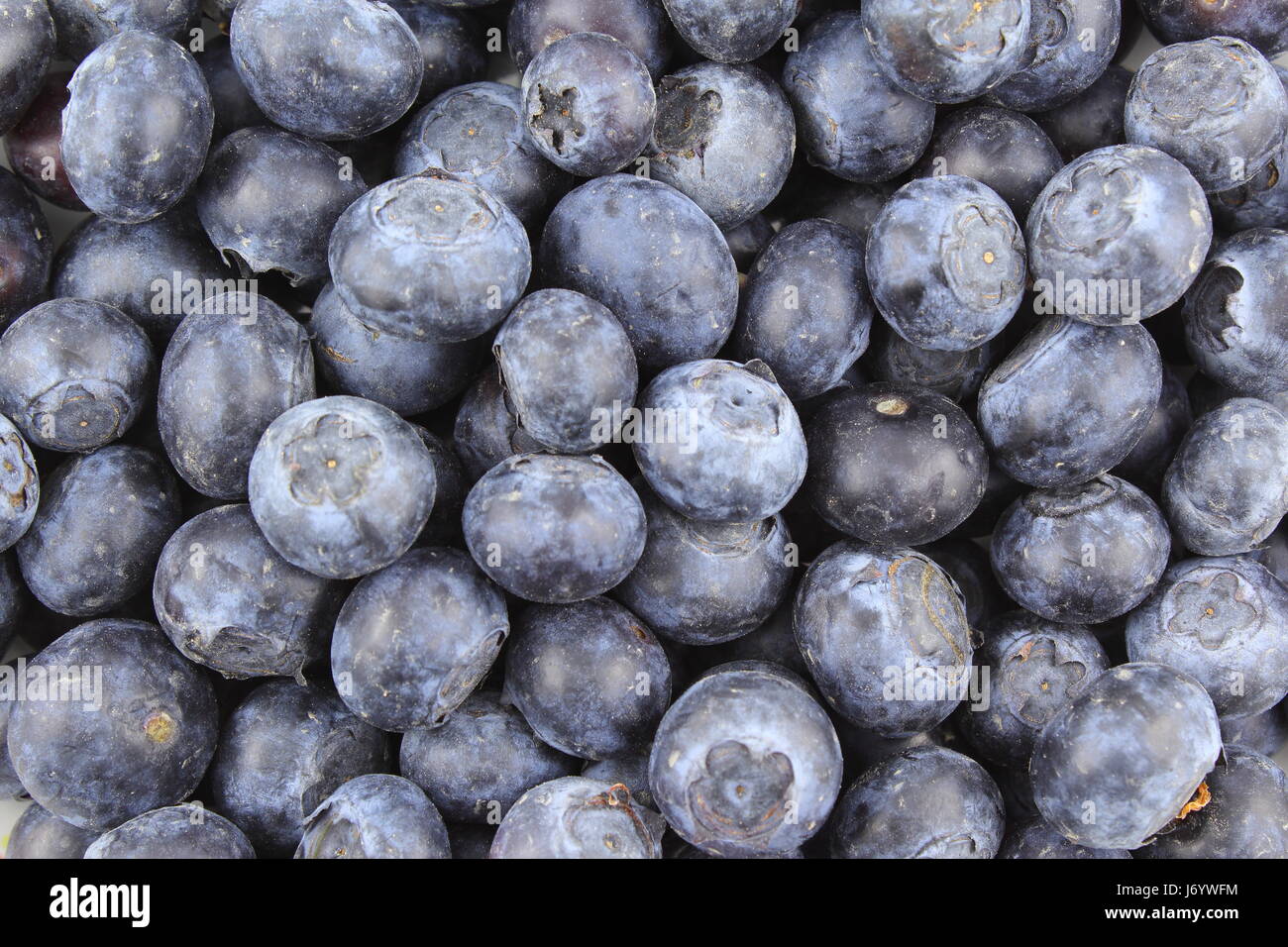 fresh blueberry fruits closeup as a food background texture Stock Photo ...