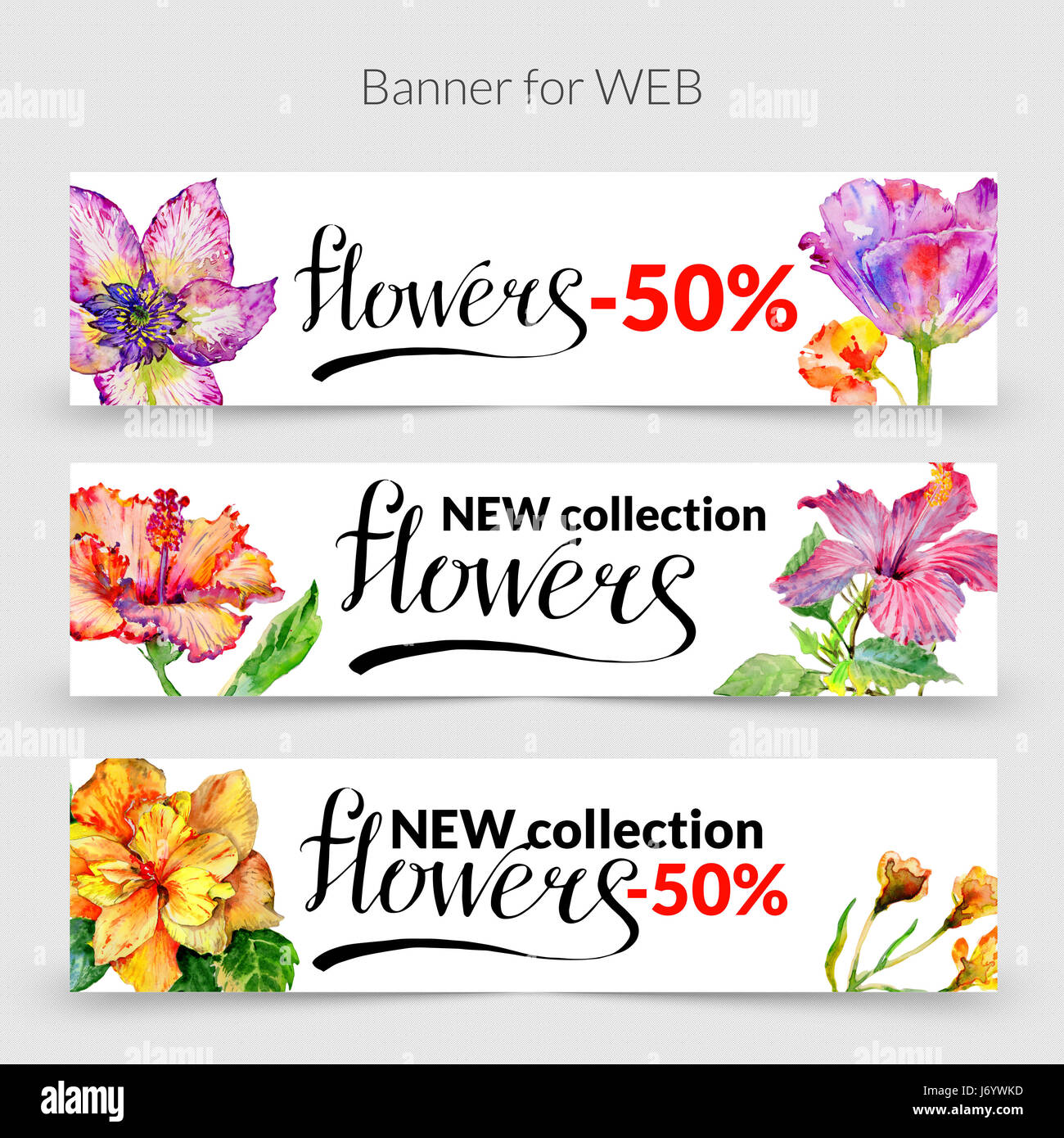 Wildflower hibiscus flower banner in a watercolor style isolated ...