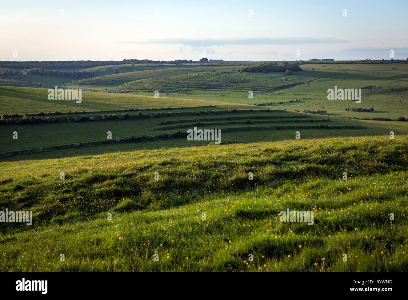 Ancient field system viewed from Scratchbury Iron Age hill fort near ...