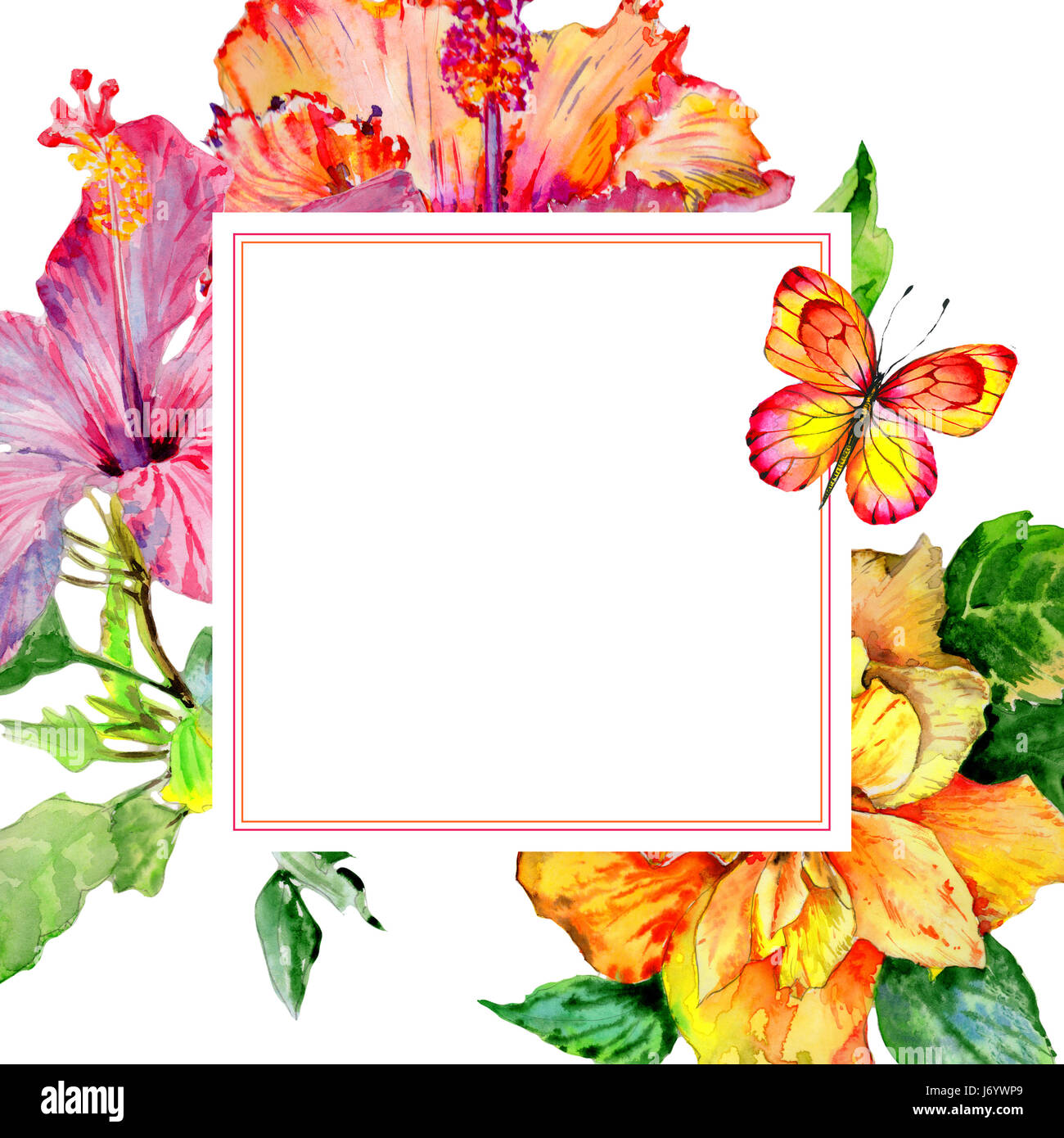 Wildflower hibiscus flower frame in a watercolor style isolated Stock ...