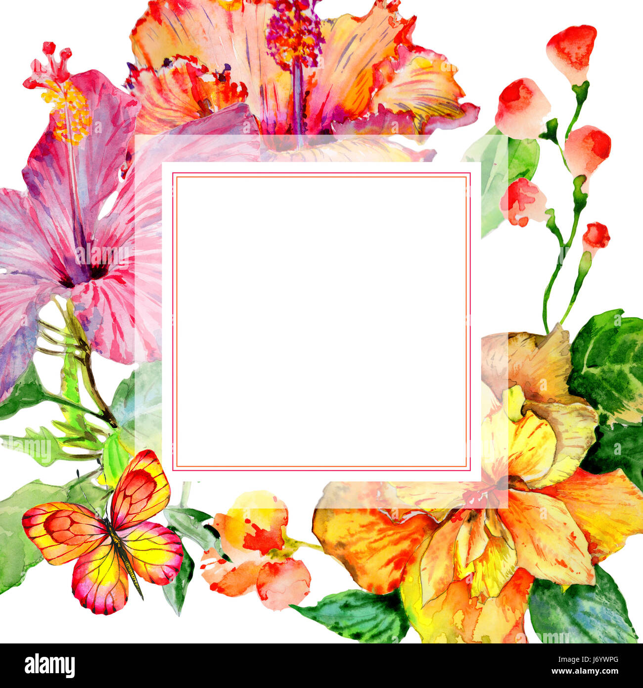 Wildflower hibiscus flower frame in a watercolor style isolated Stock ...