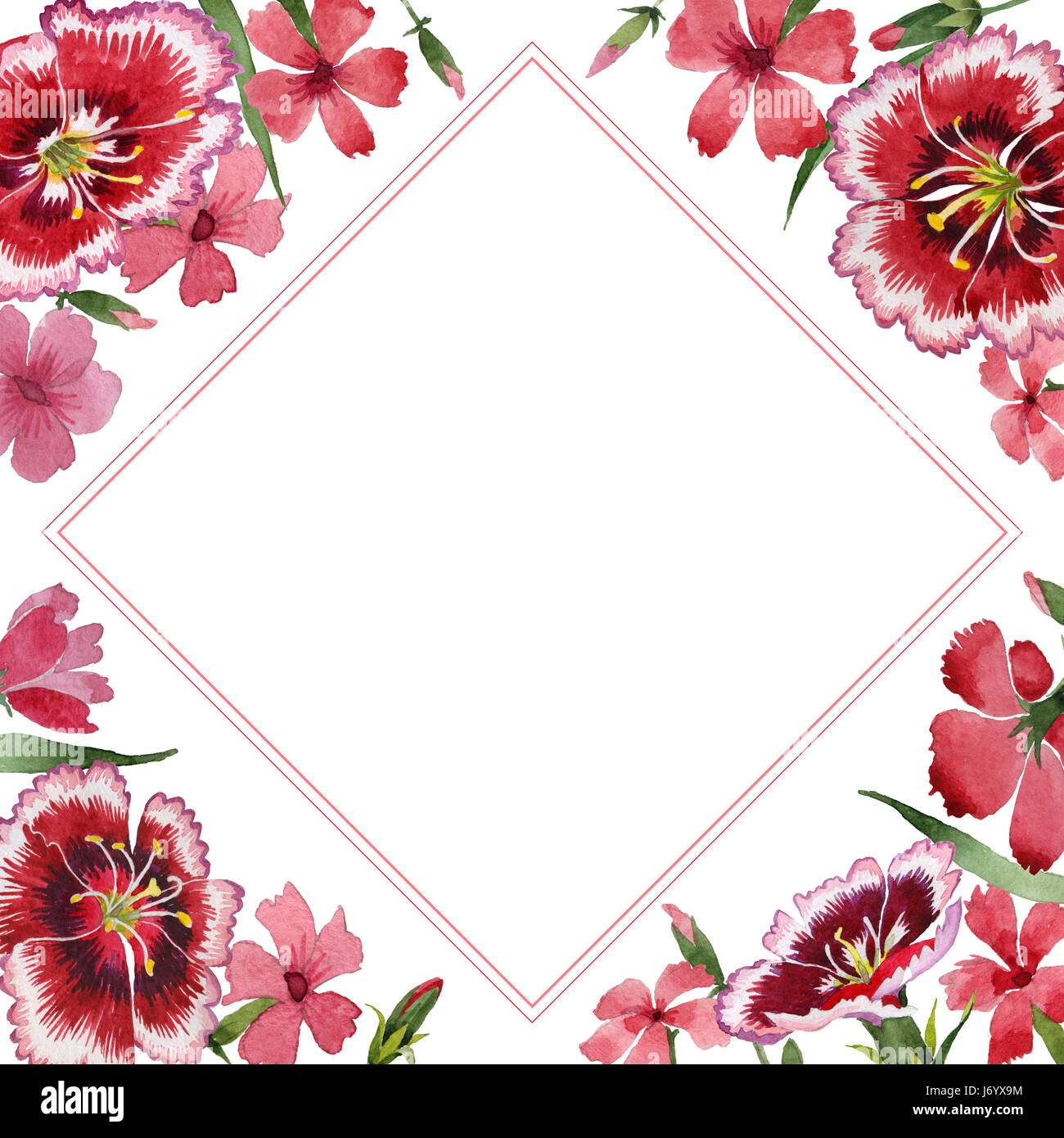Wildflower carnation flower frame in a watercolor style isolated Stock ...