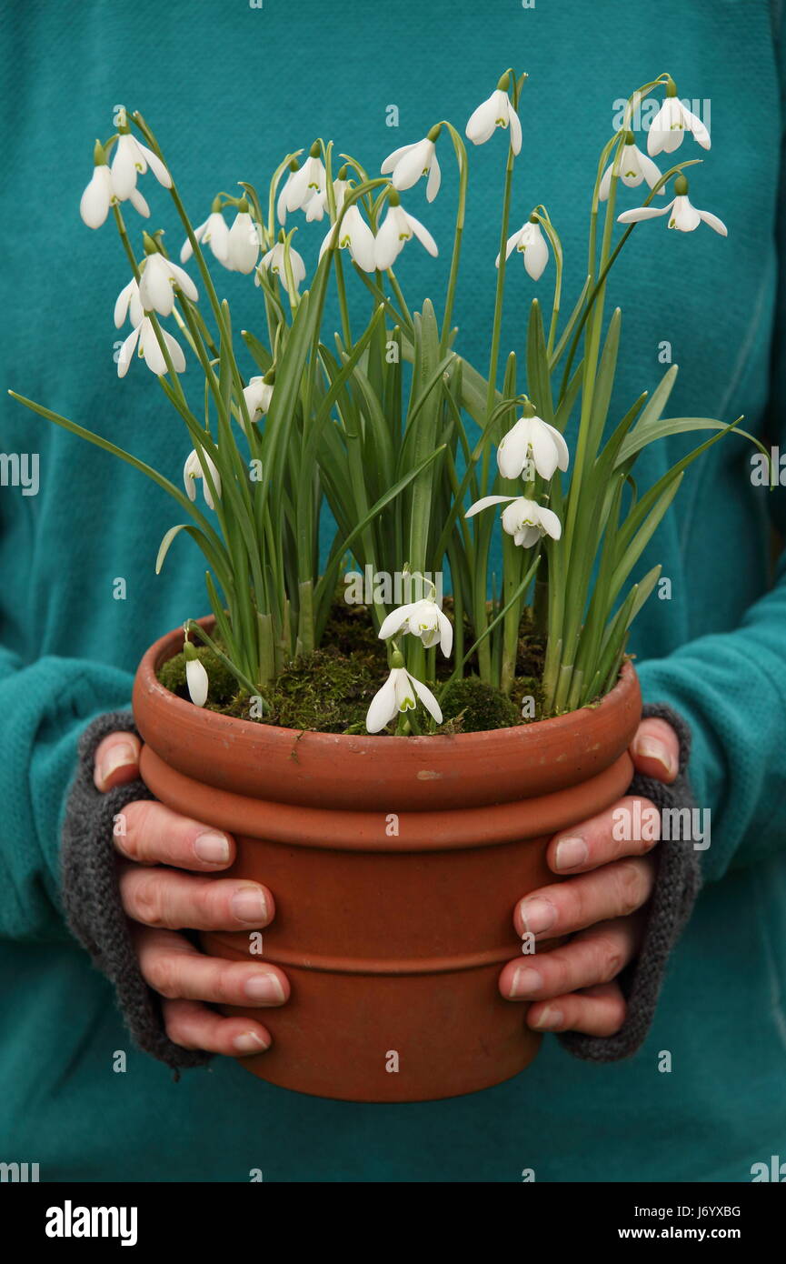 Garden container hi-res stock photography and images - Alamy