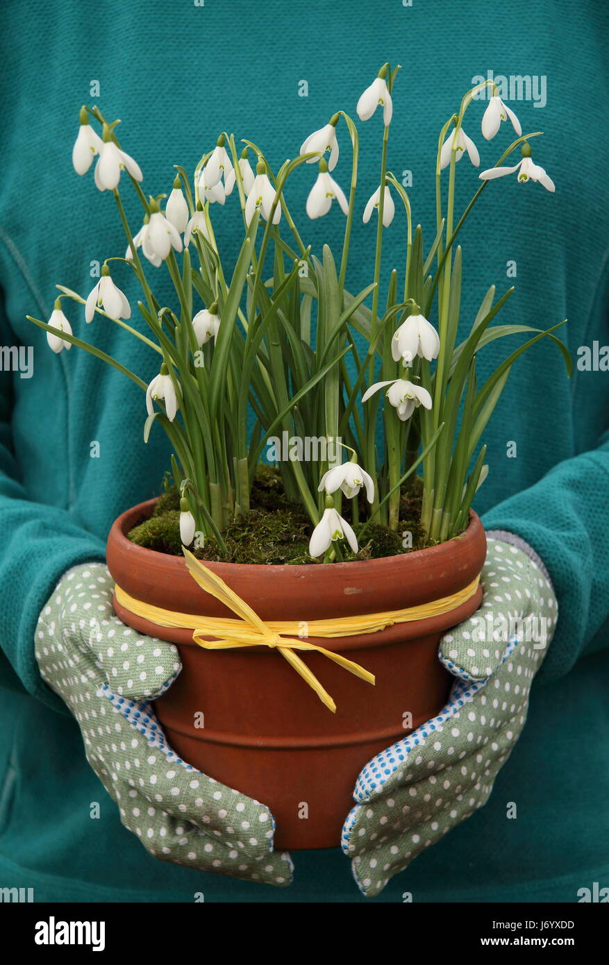 Very small gardens hi-res stock photography and images - Alamy