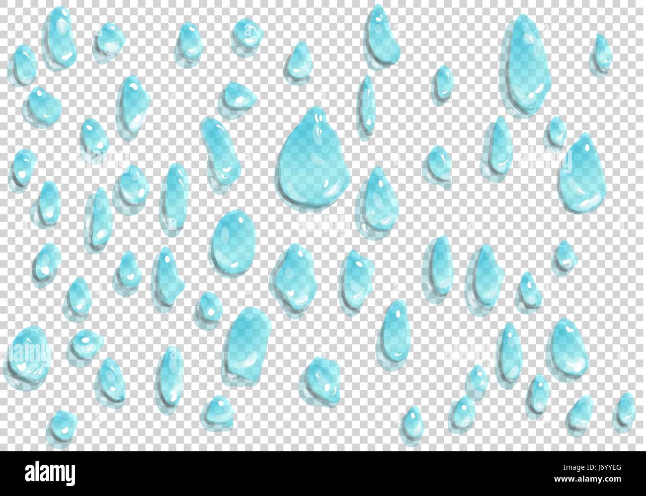 water drop on transparent background. 10 EPS Stock Vector Image & Art ...