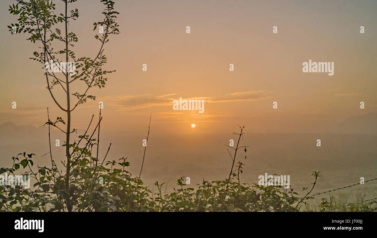 Morning mist rises over tranquil hi-res stock photography and images ...