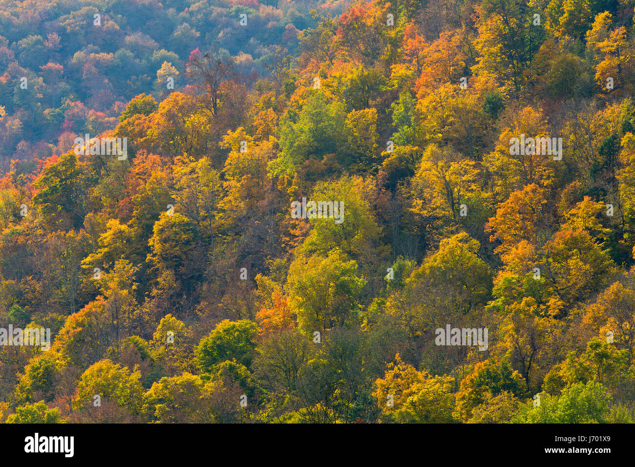 Catskill mountains hi-res stock photography and images - Alamy