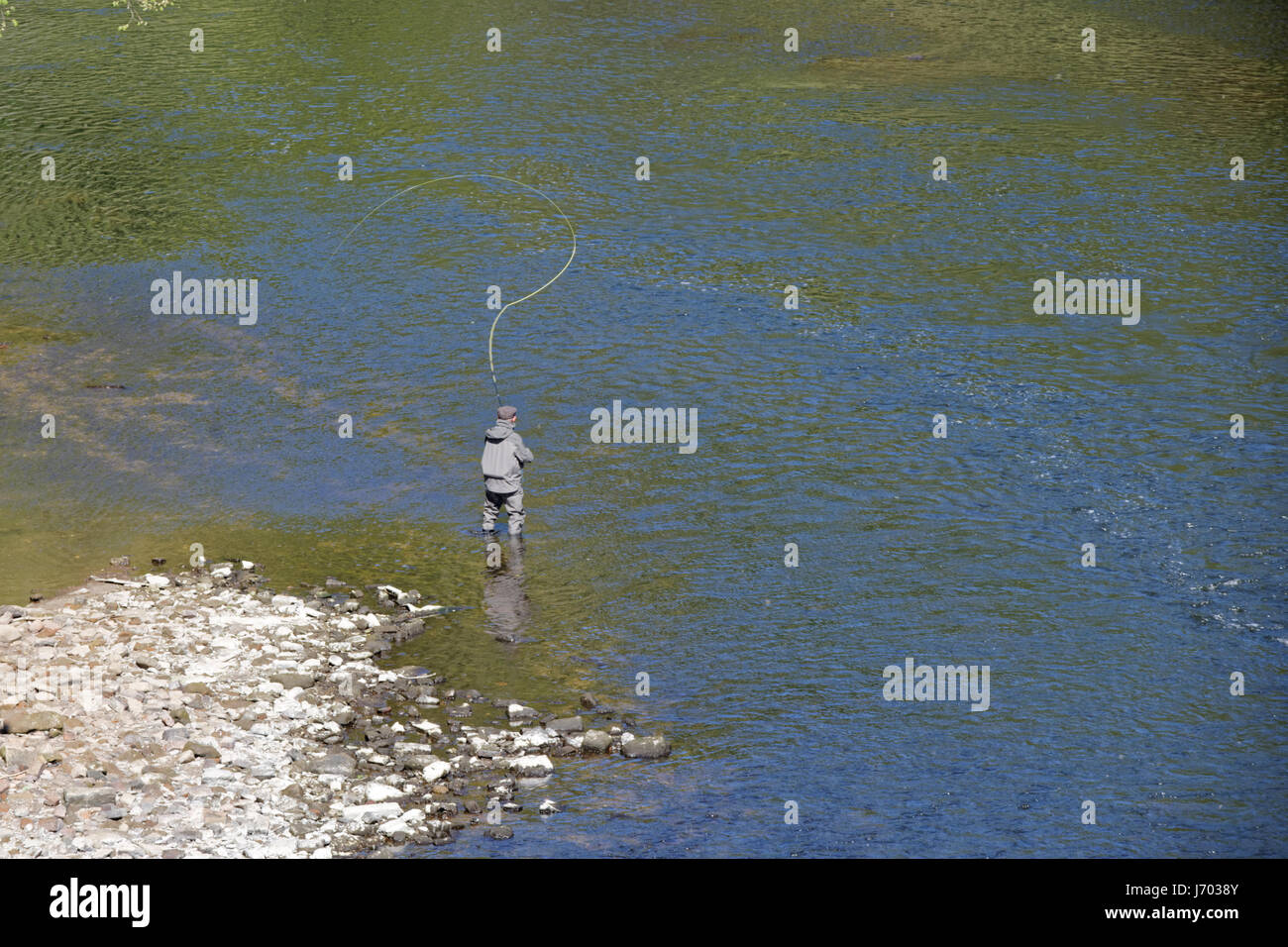 Fly -fishing sunny on the river Clyde near Blantyre Mill Road design to ...
