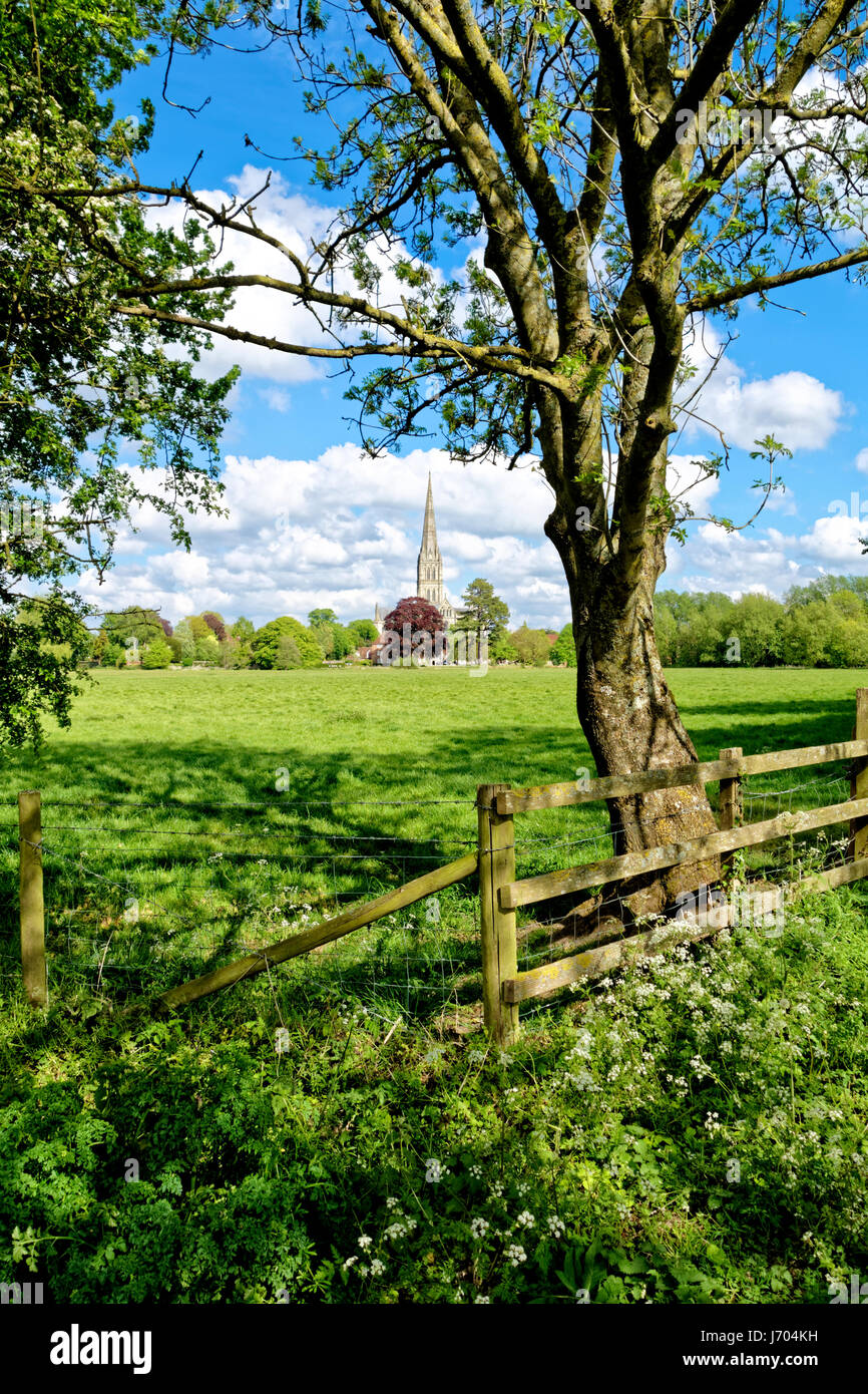 Salisbury Cathedral, Wiltshire, United Kingdom, as seen from the ...