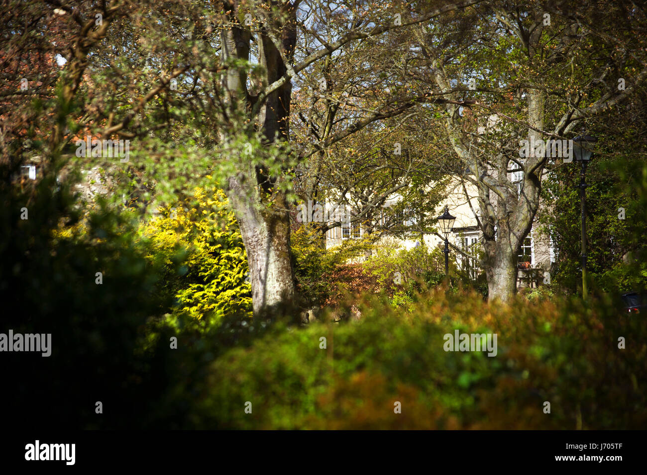 Whitburn Village, South Tyneside Stock Photo - Alamy
