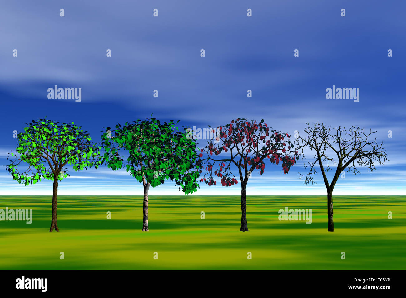 tree trees leaves summer summerly spring seasons season symbolic tree ...