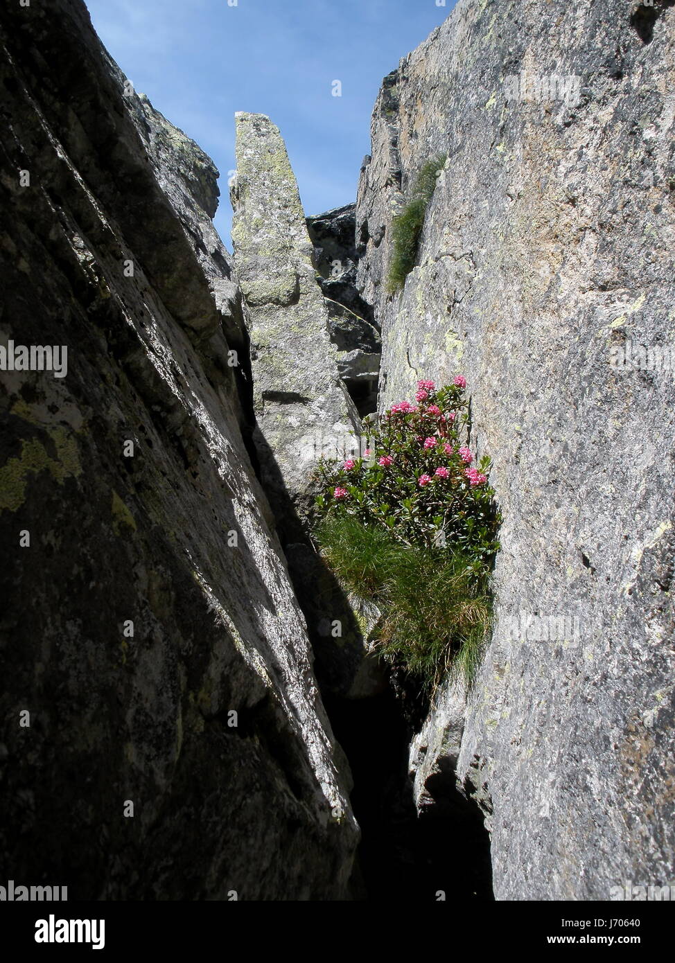 Of a crevice hi-res stock photography and images - Alamy