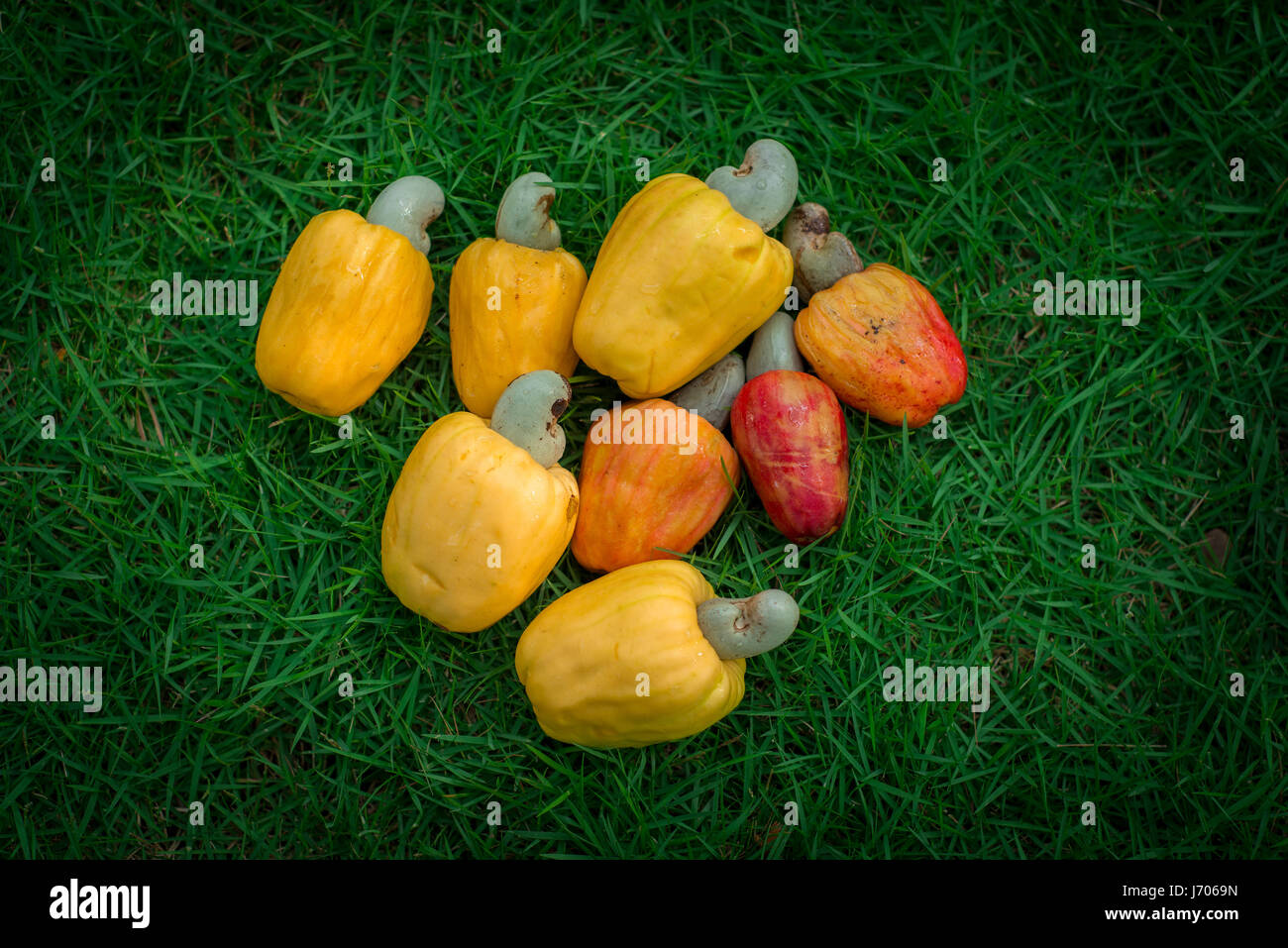 Cashew apples hi-res stock photography and images - Alamy