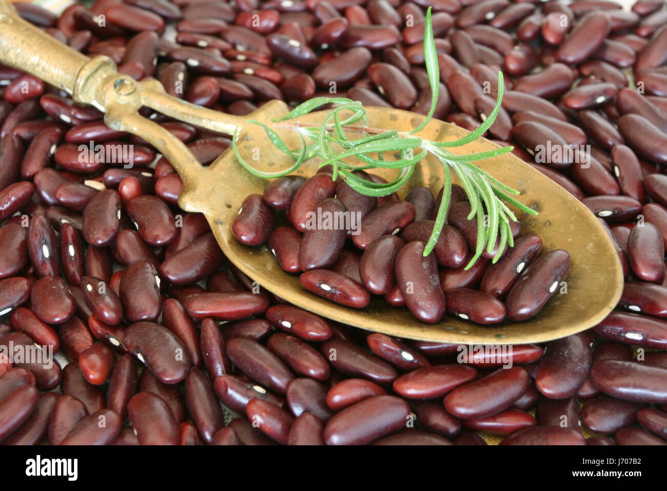Fasole hi-res stock photography and images - Alamy