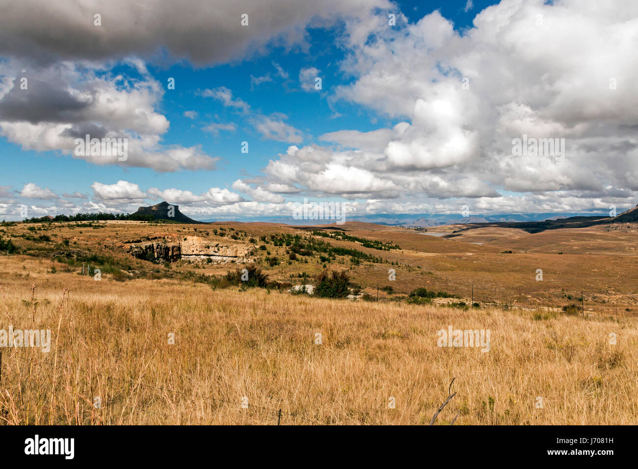 Golden cold dry winter landscape and rocky mountain against blue cloudy ...
