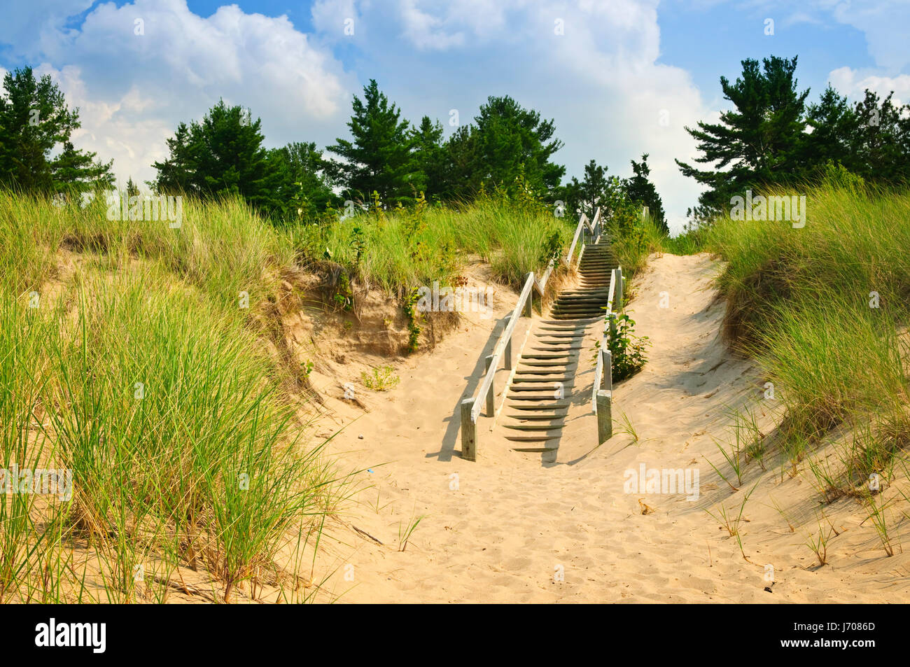 stairs beach seaside the beach seashore summer summerly dunes path way ...