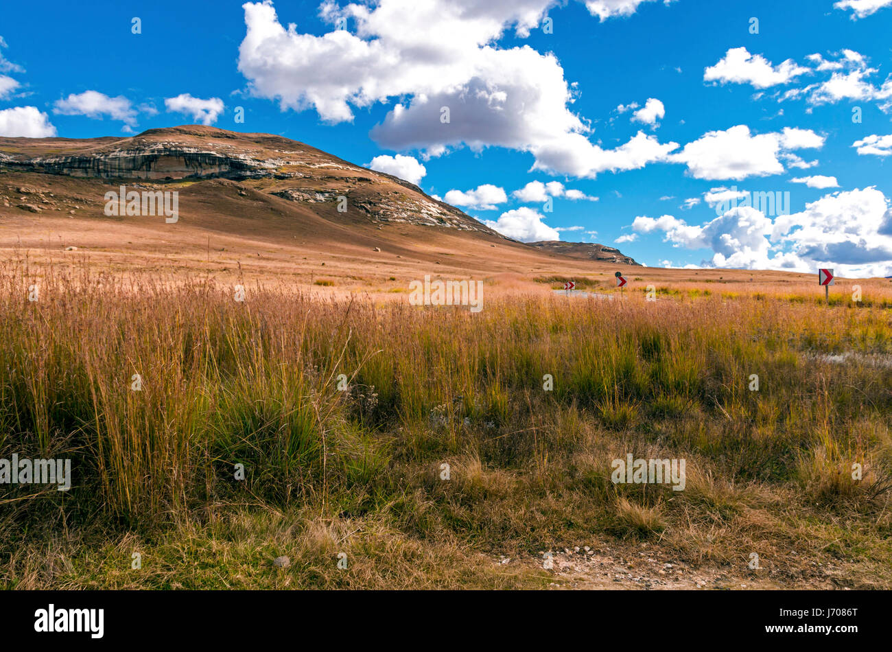 Golden cold dry winter landscape and rocky mountain against blue cloudy ...