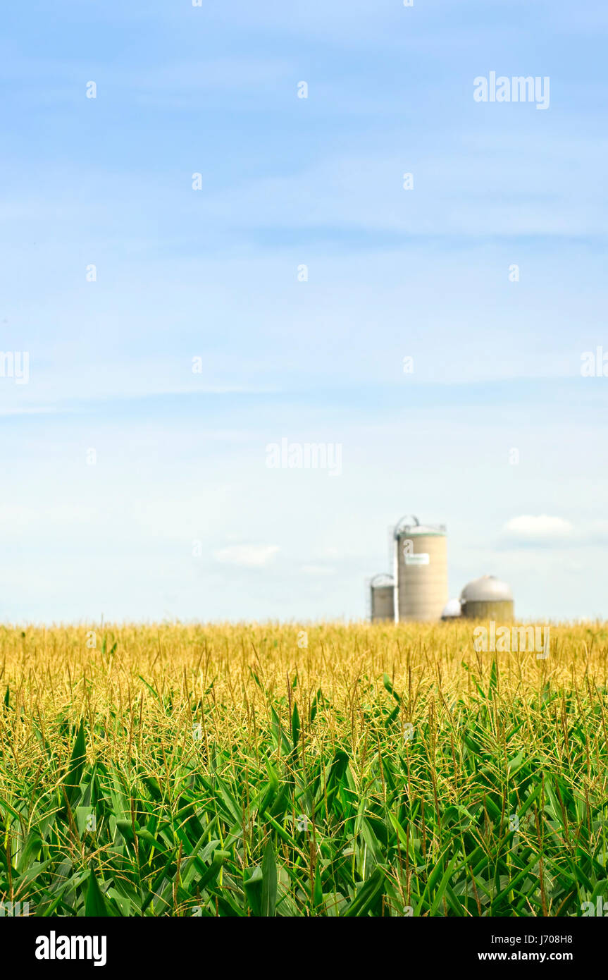 agriculture farming farm corn silo landscape scenery countryside nature ...