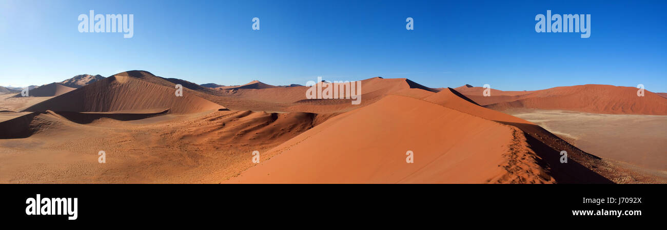 namibia sight view outlook perspective vista panorama lookout tree ...