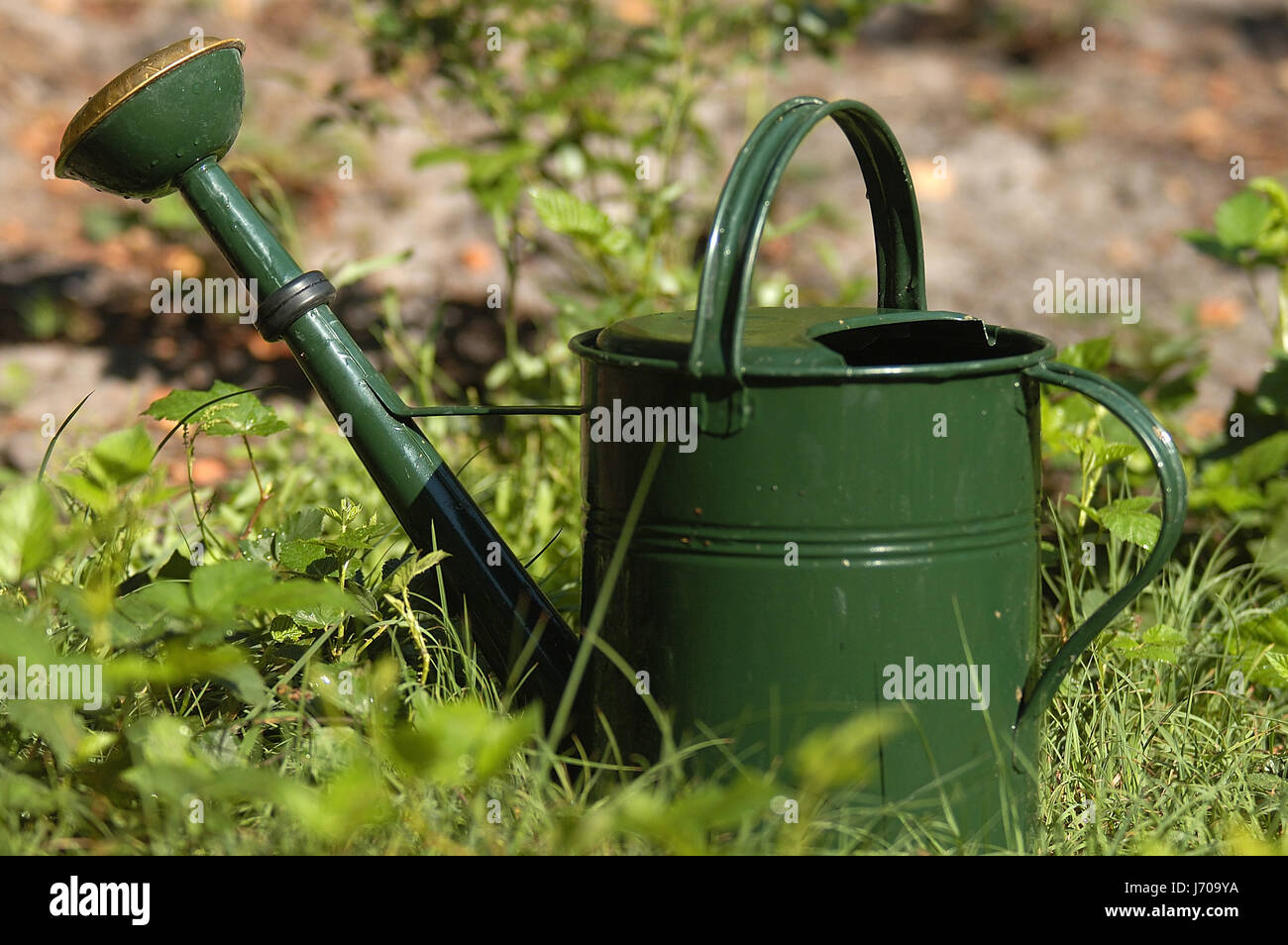 jug watering-can irrigate cable gland tool garden nostalgia dryness ...