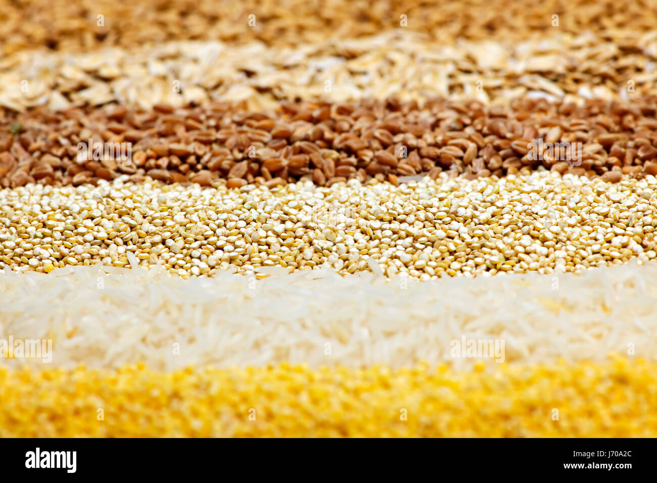 raw various organic backdrop background healthy food aliment health ...