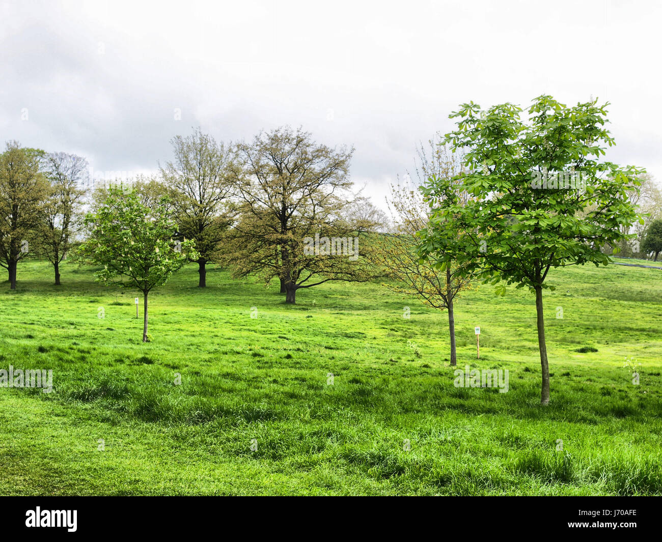 city town hill park london england primrose parks blue city town colour ...