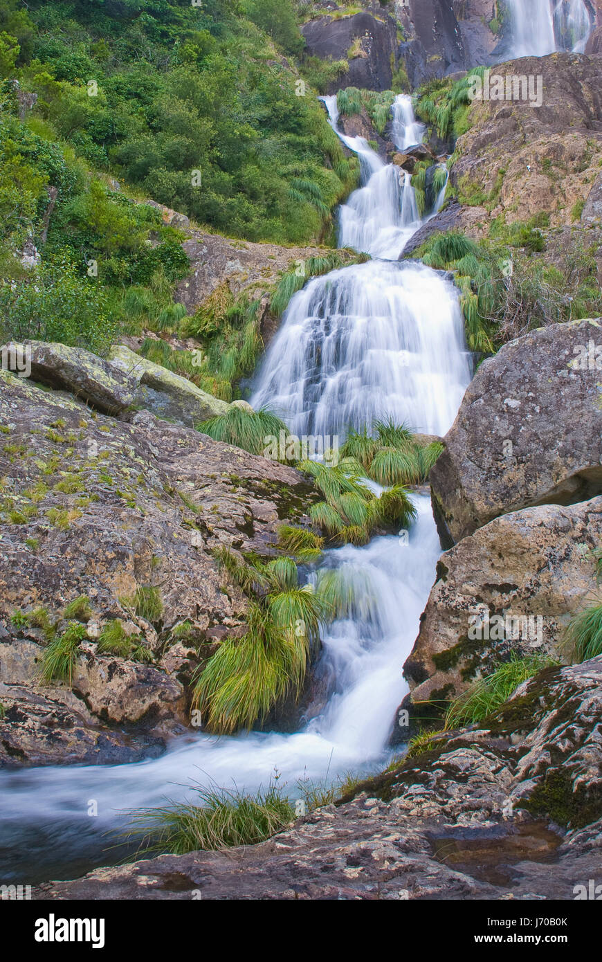 flow landscape scenery countryside nature lawn green leaves foliage ...