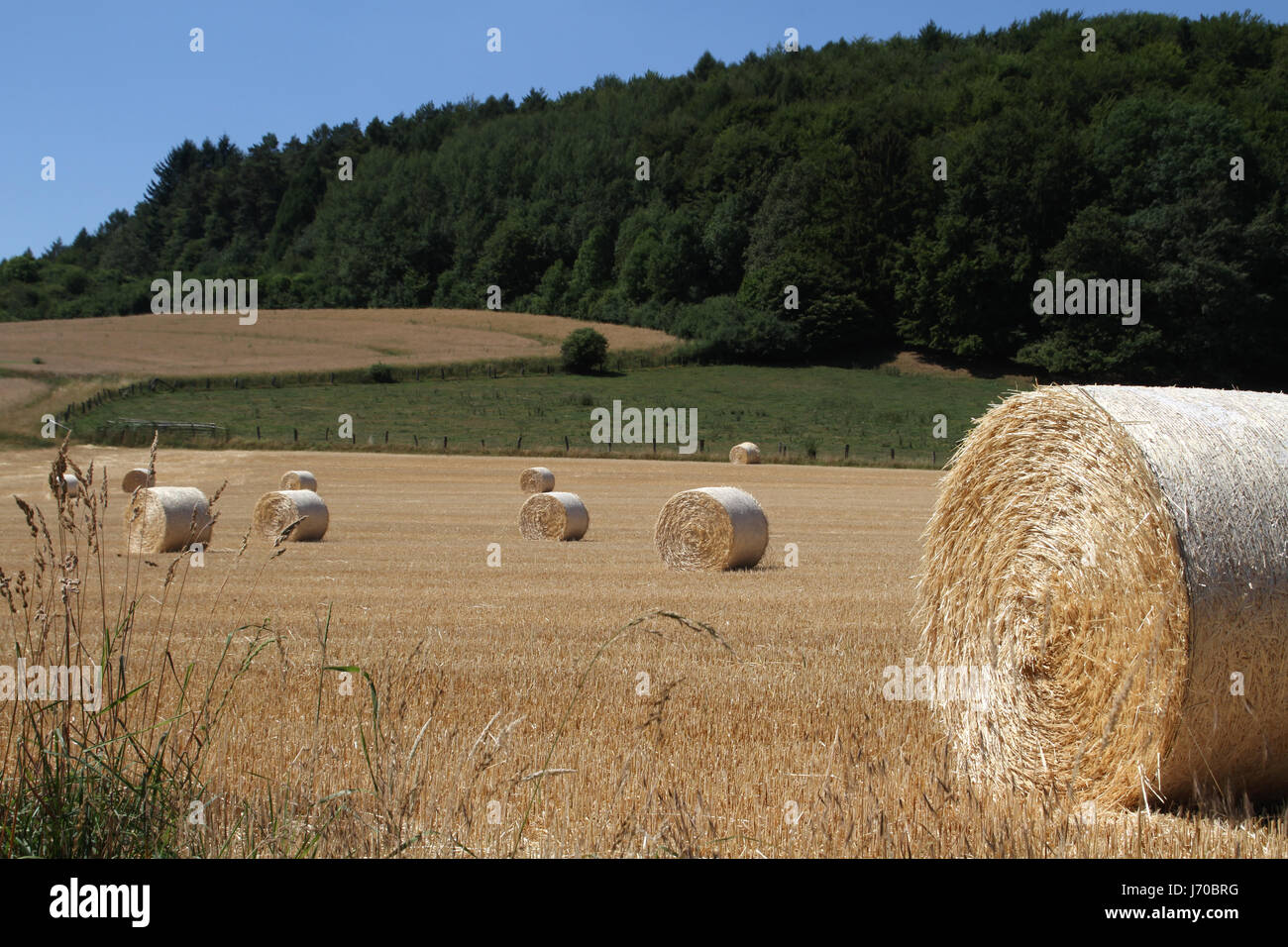 bucolic agriculture farming field summer summerly straw ball farmer ...