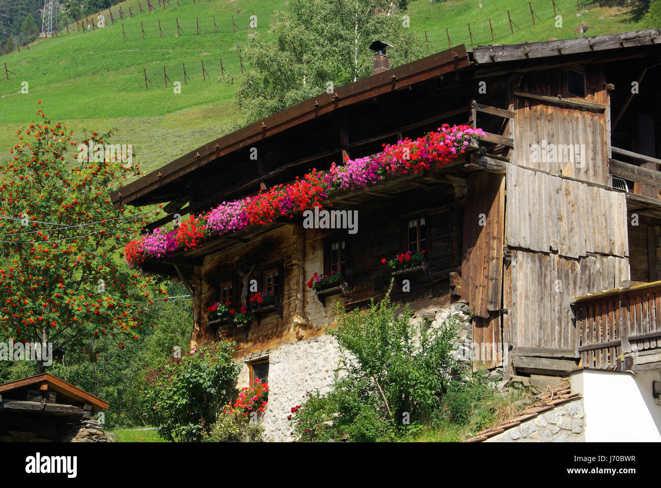 house building wood europe framehouse tyrol house building macro close ...