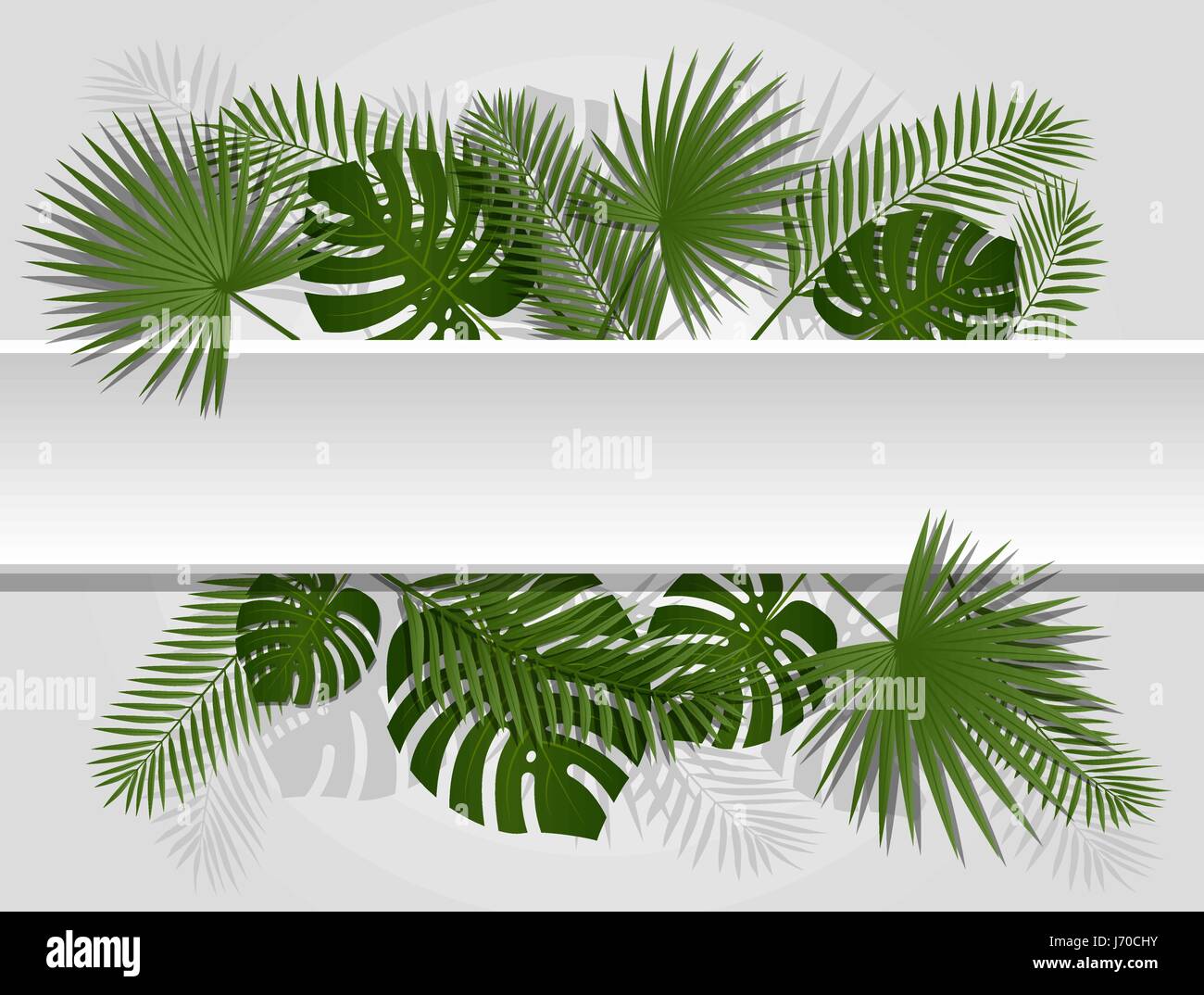 Green summer tropical header with exotic palm leaves and plant. Vector ...