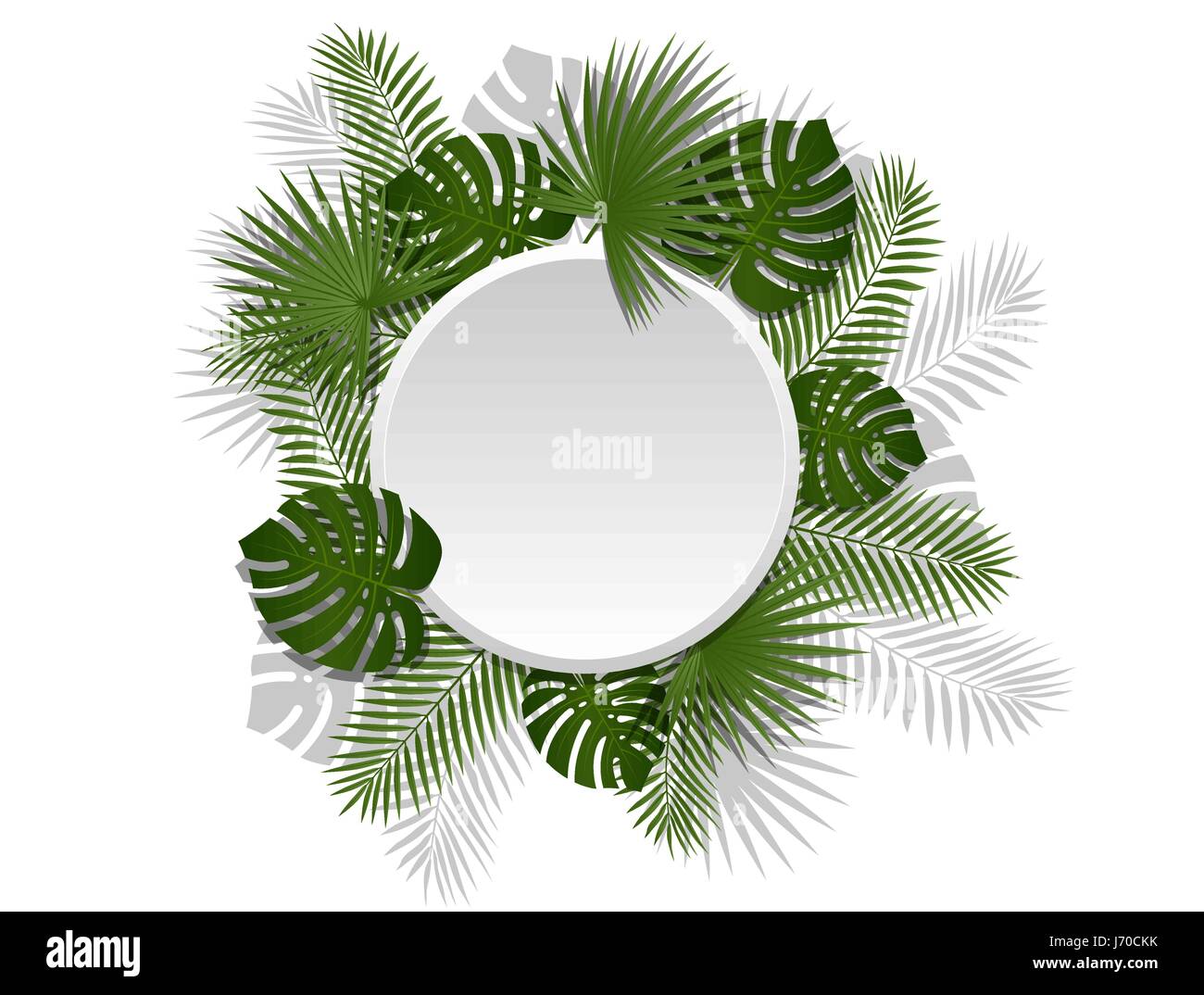 Green summer tropical header with exotic palm leaves and plant. Vector ...
