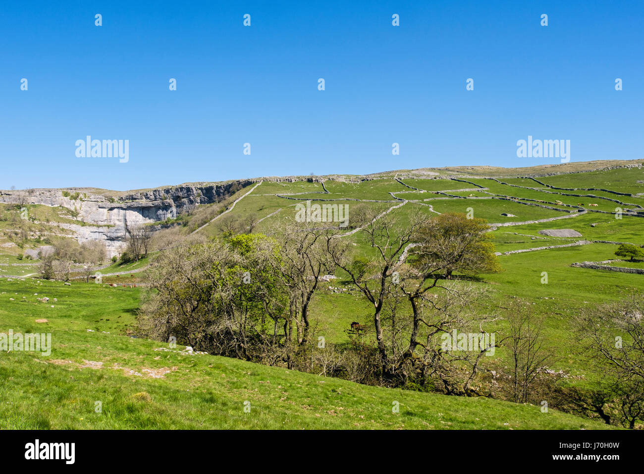 View across countryside to Malham Cove. Malham, Malhamdale, Yorkshire ...