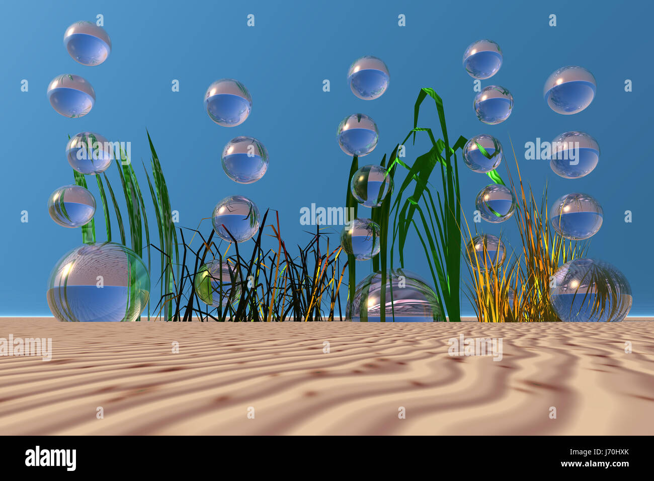 on the seabed Stock Photo - Alamy