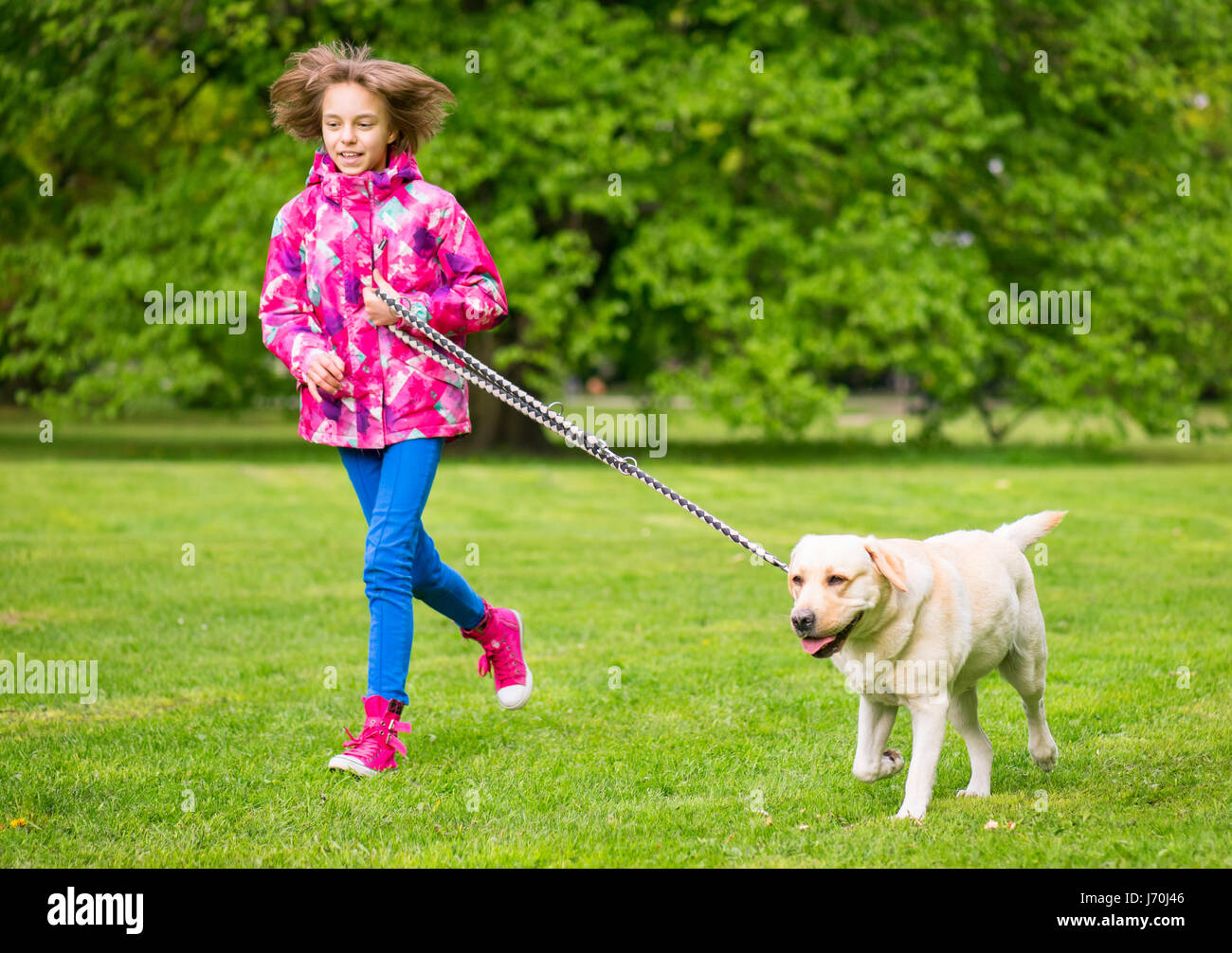 Girl with labrador retriever dog Stock Photo - Alamy