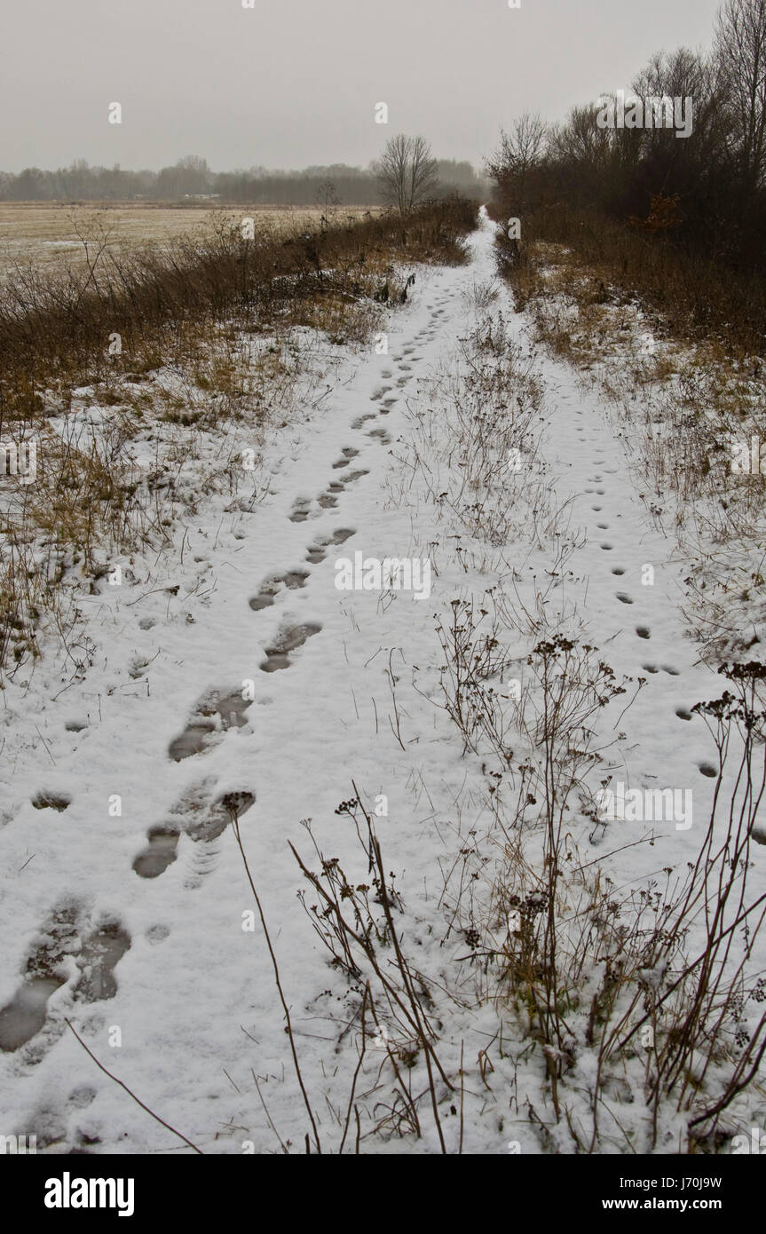 winter cold field snow coke cocaine material drug anaesthetic addictive ...