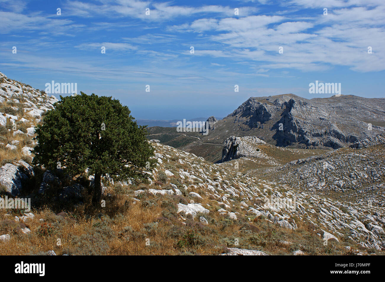 monte albo - sardinia Stock Photo - Alamy