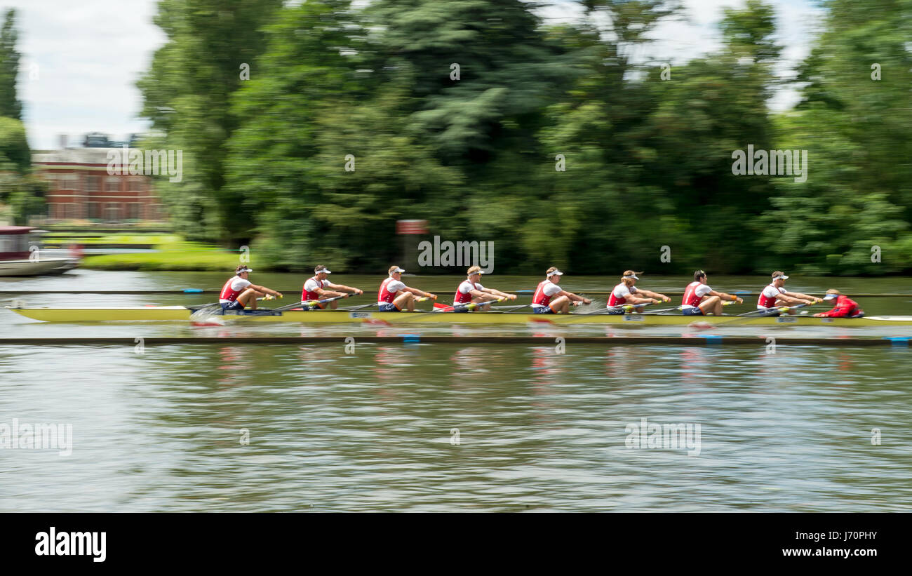 The Dutch rowing 8 at Henley Royal regatta Stock Photo - Alamy