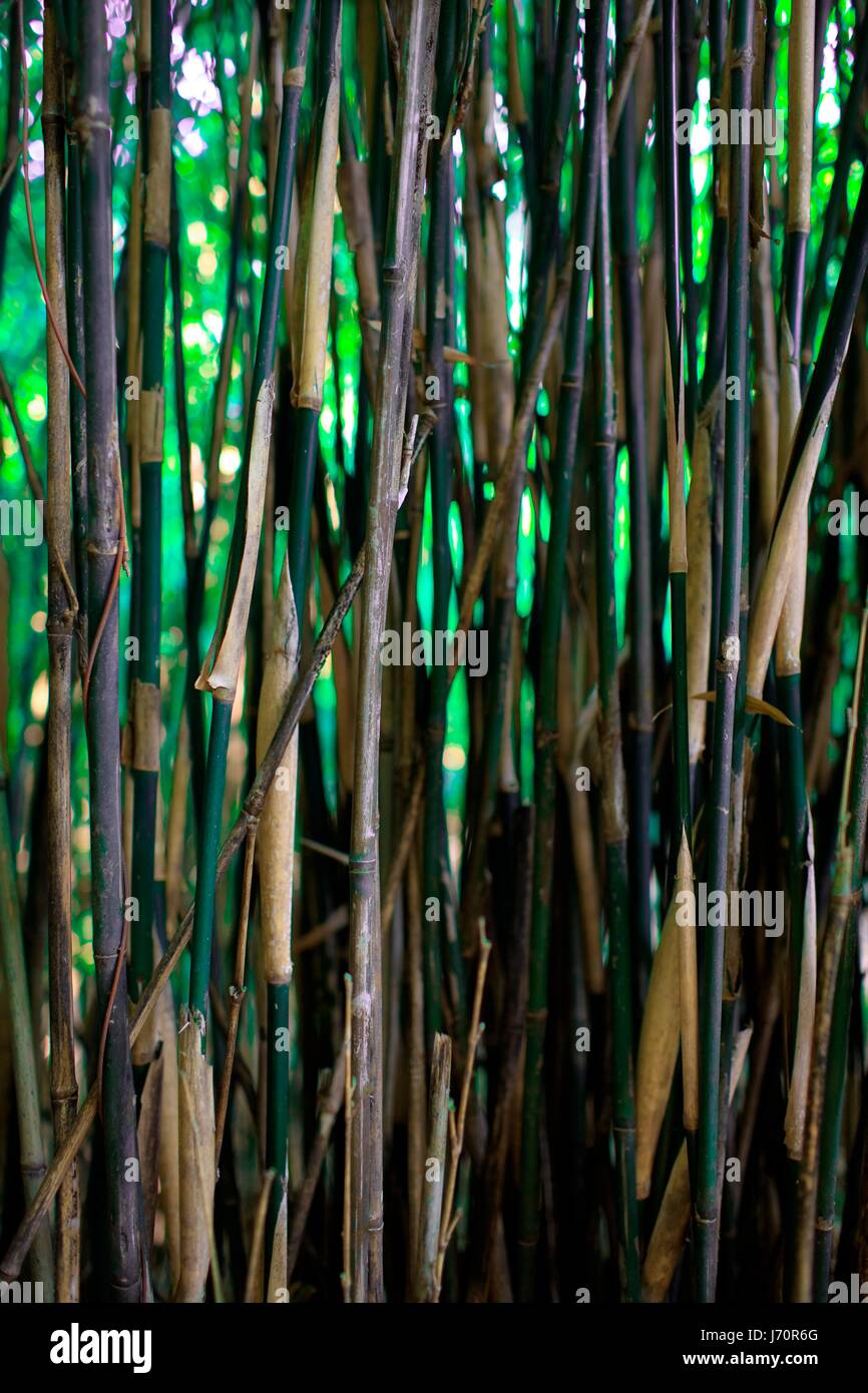 environment enviroment model design project concept plan draft future ...